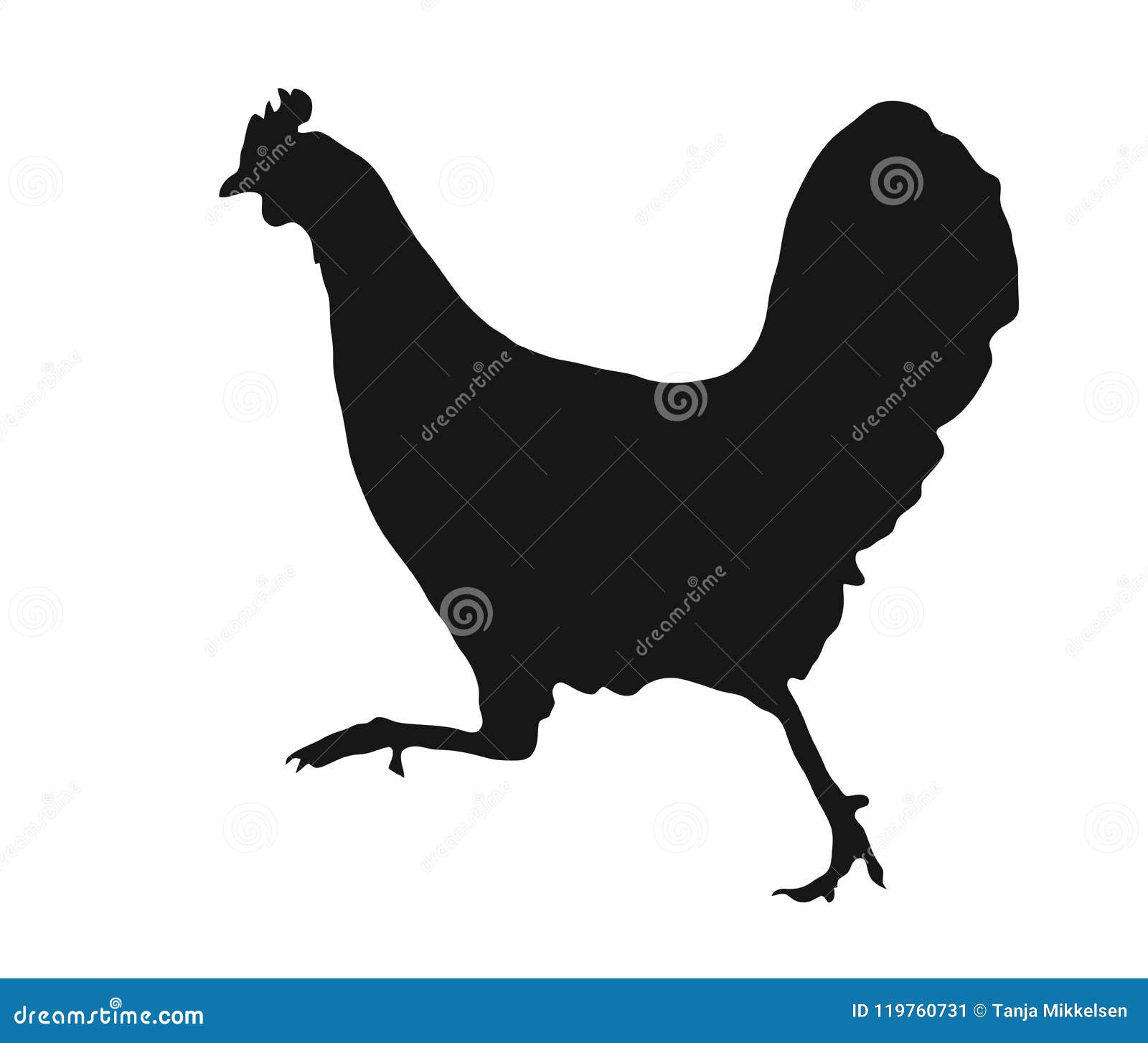 Running Chicken Animation Sprite Sheet Isolated On White Background ...