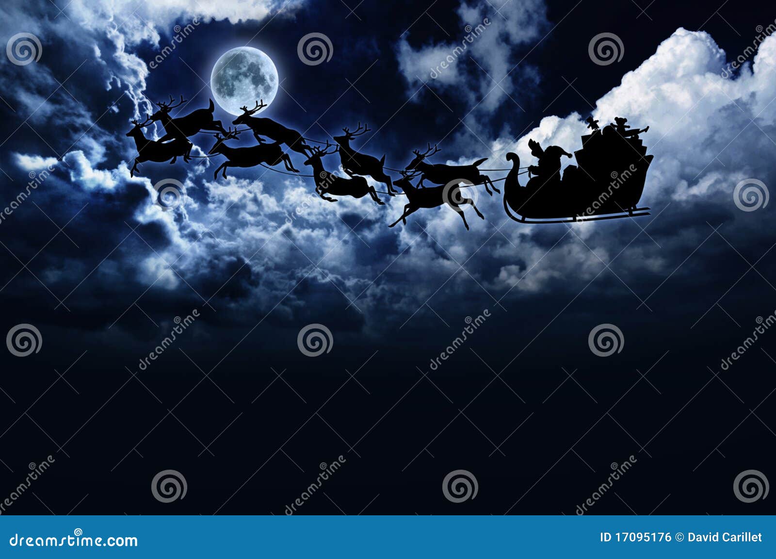 Santa Sleigh Flying Real