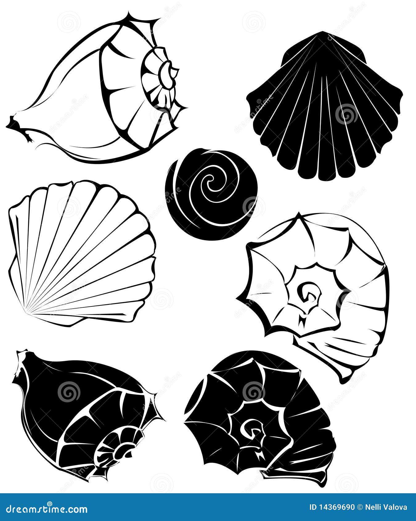 Silhouette of sea shells stock vector. Illustration of concept - 14369690