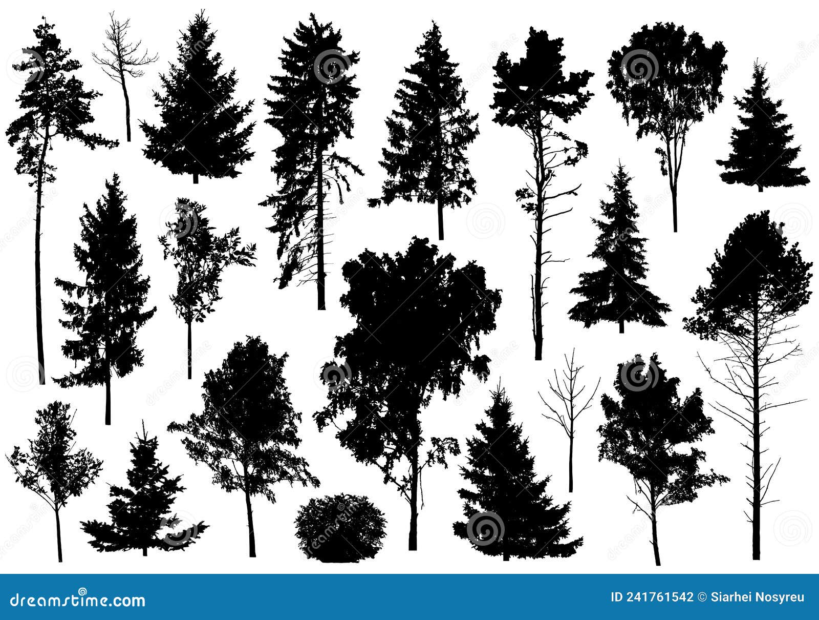 Coniferous Set Evergreen Tree With Branches Knots Sticks In Winter ...