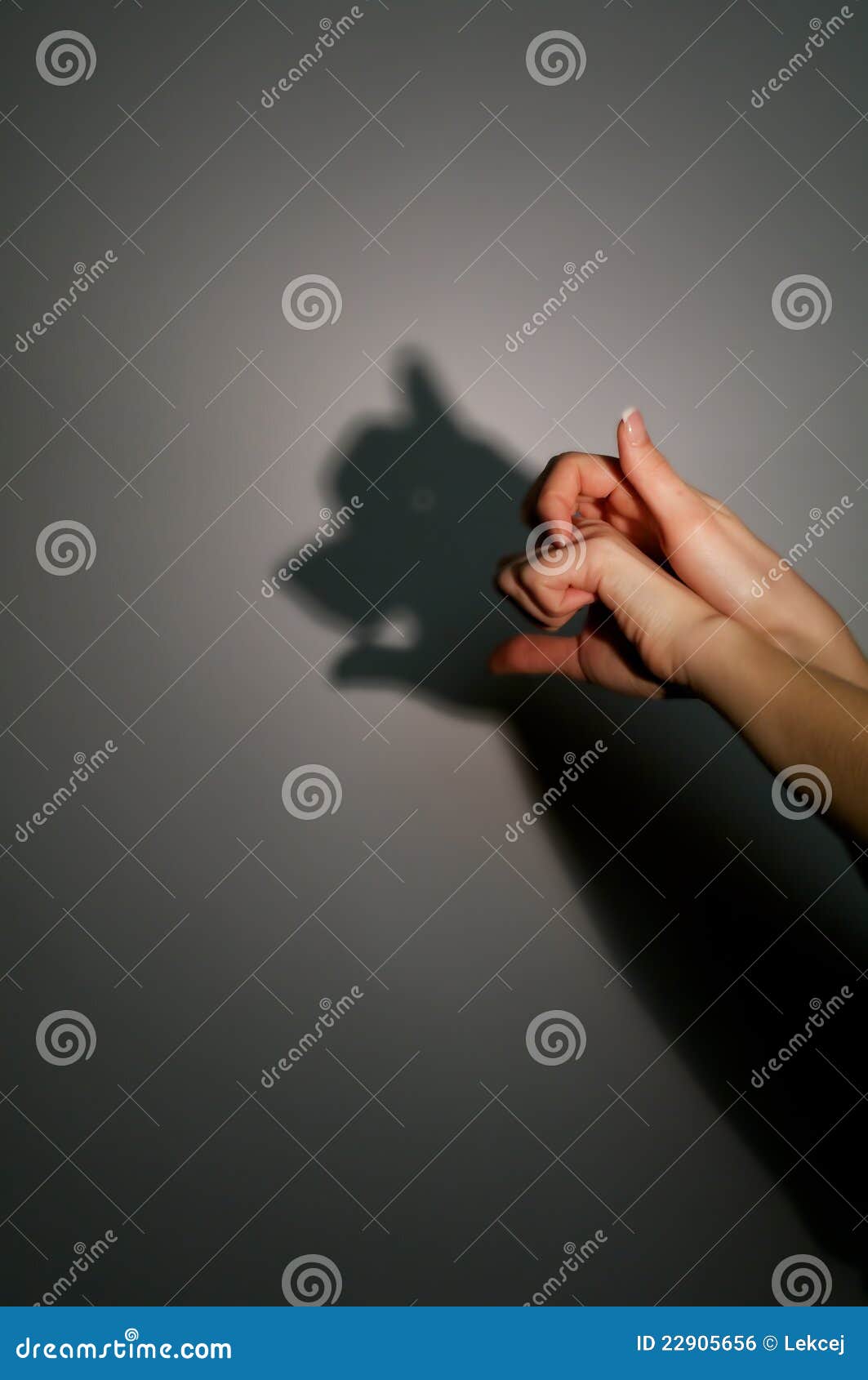 Silhouette shadow of pig stock photo. Image of fingers - 22905656