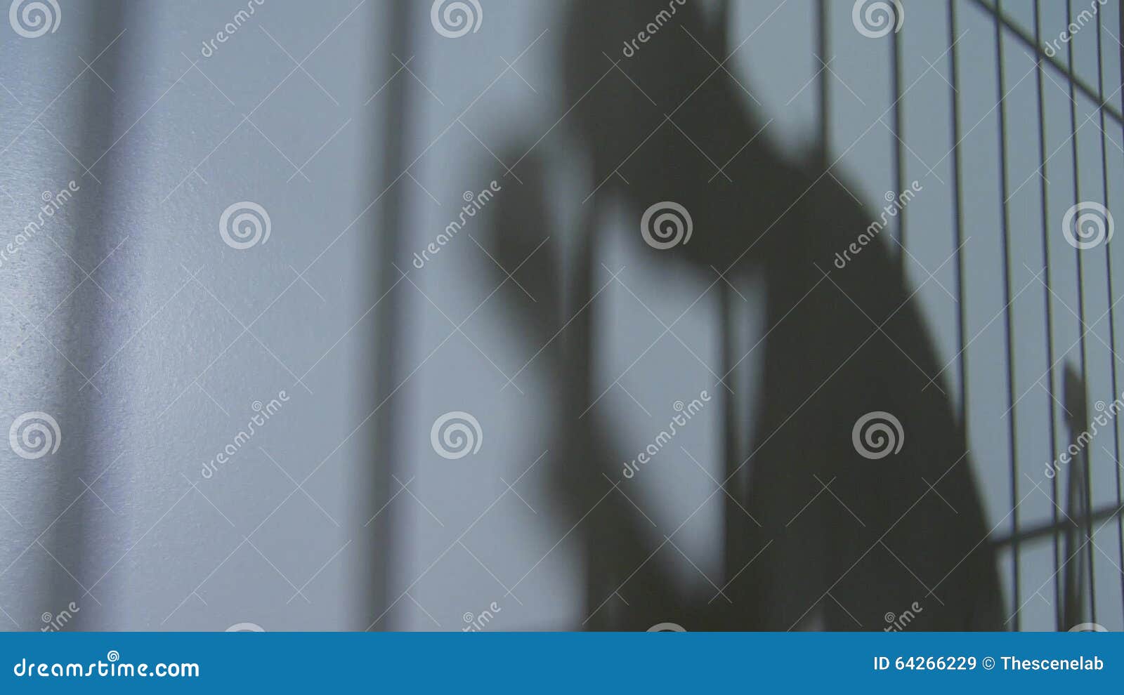 Silhouette and Shadows in Prison (3 of 5) Stock Video - Video of legal ...