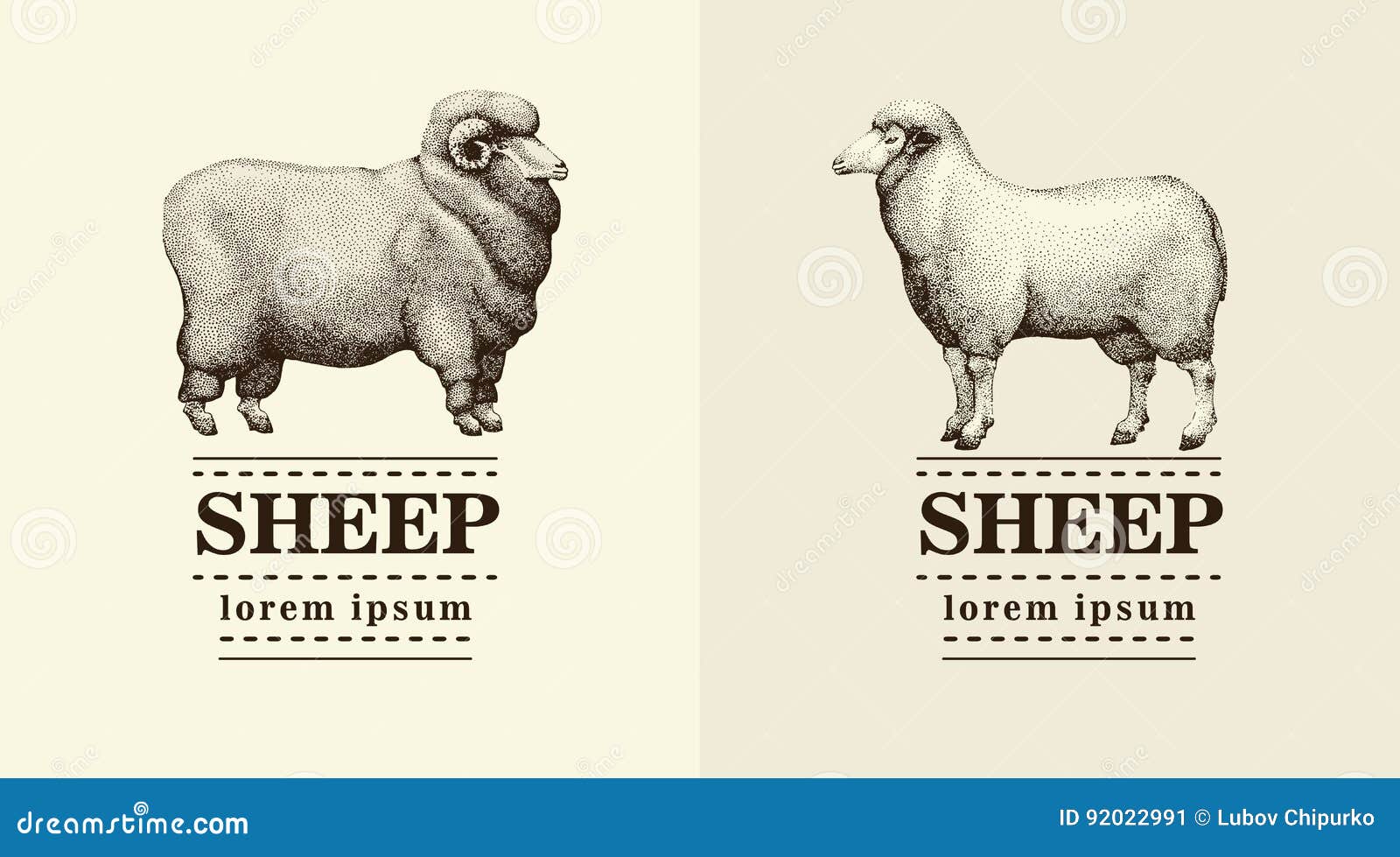 Silhouette Sheep, Logo Template, Vector Hand Drawn Illustration. Stock ...