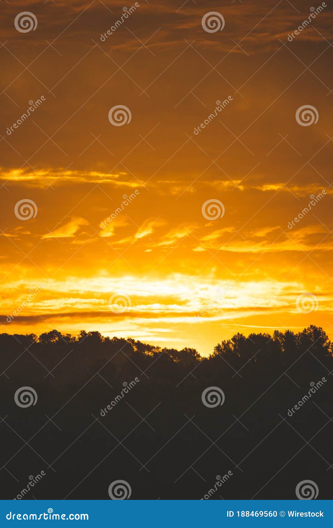 Silhouette Shot of Beautiful Sunset on the Field Stock Photo - Image of ...