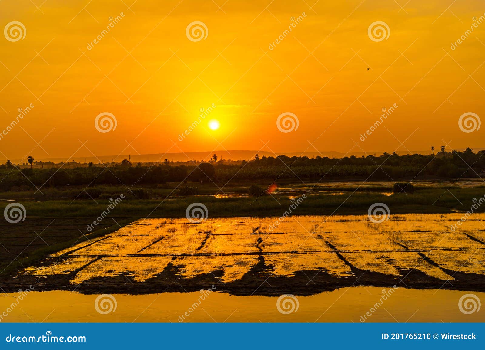 Silhouette Shot of Farm Field during a Golden Sunset Stock Photo ...