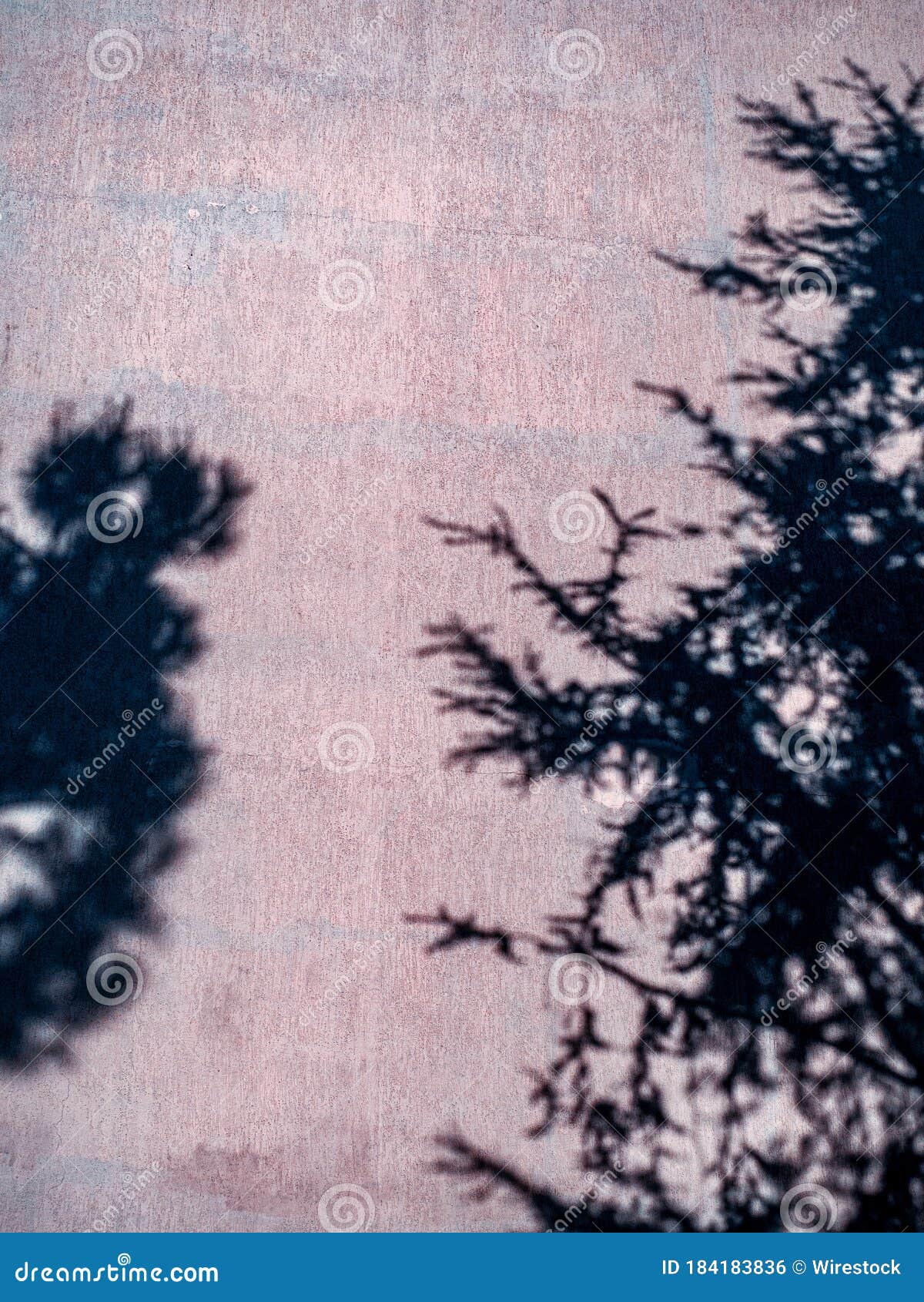 Silhouette Shot of the Tree Shadows on a Gray Wall - Great for ...