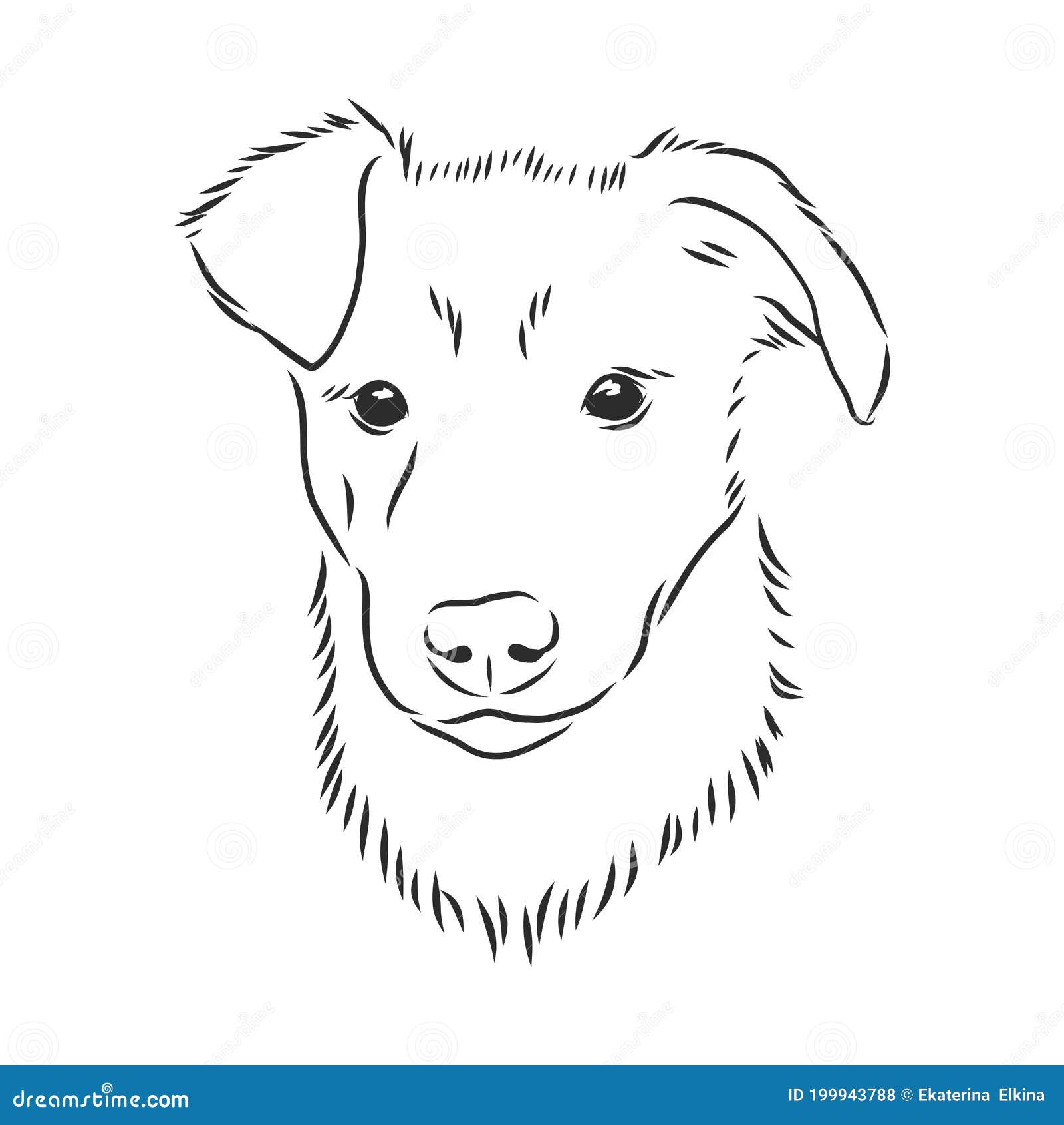 Simple Dog Head Drawing