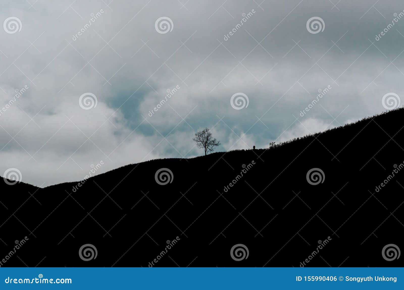 A Silhouette of Single Tree on the Top of Mountain with Clouds and Blue ...