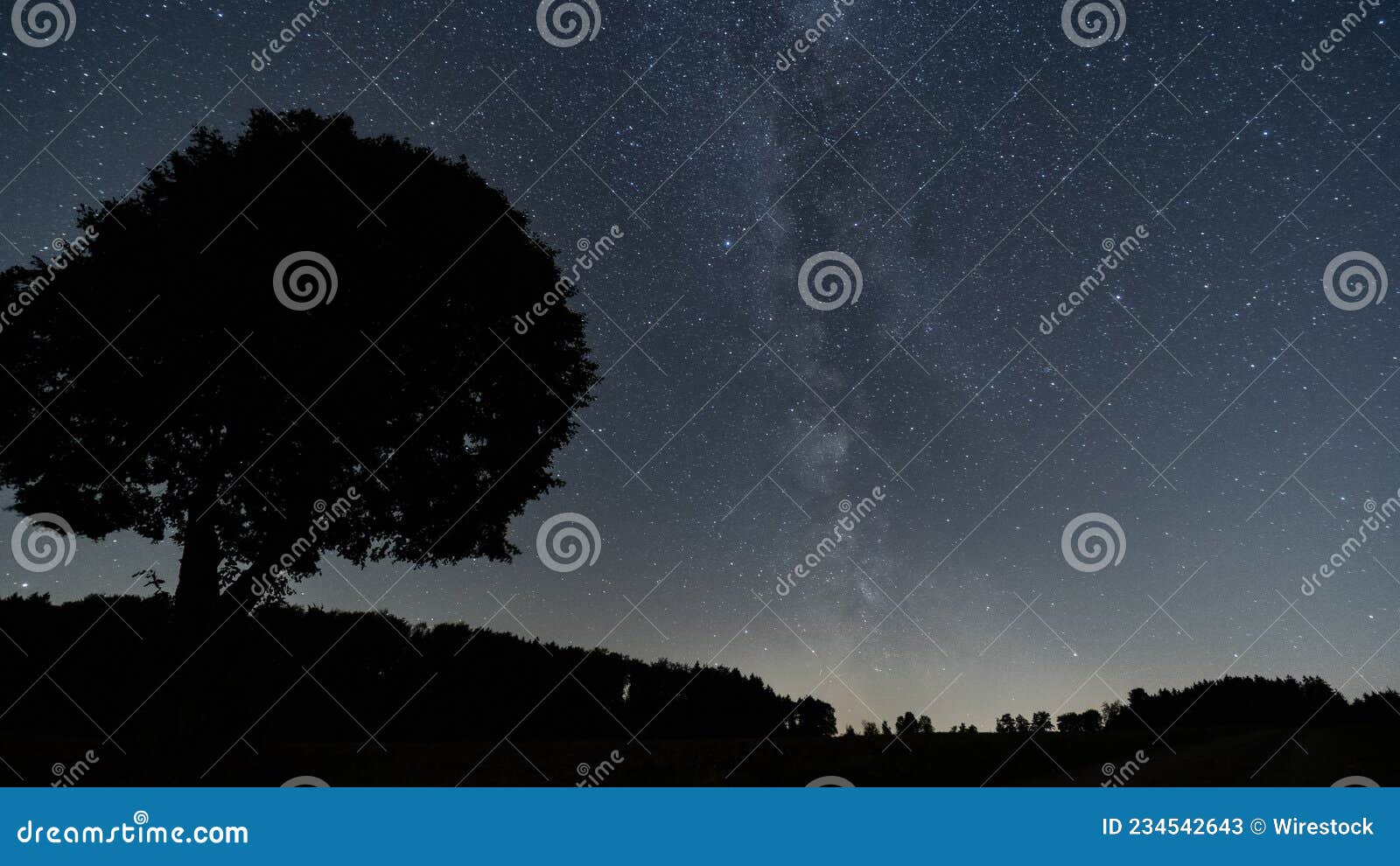 Silhouette of a Single Tree Under the Starry Sky Stock Image - Image of ...