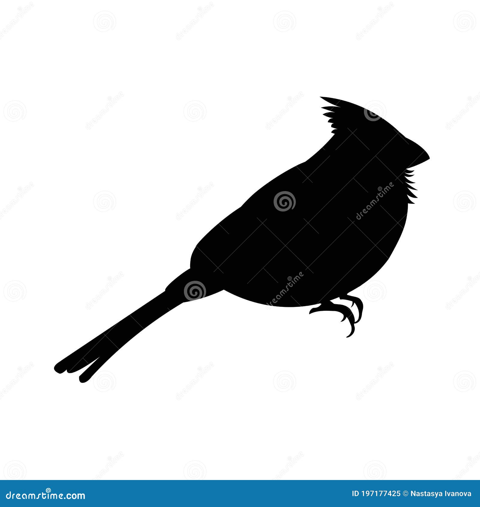 Silhouette of a Sitting Red Cardinal Bird Stock Vector - Illustration ...