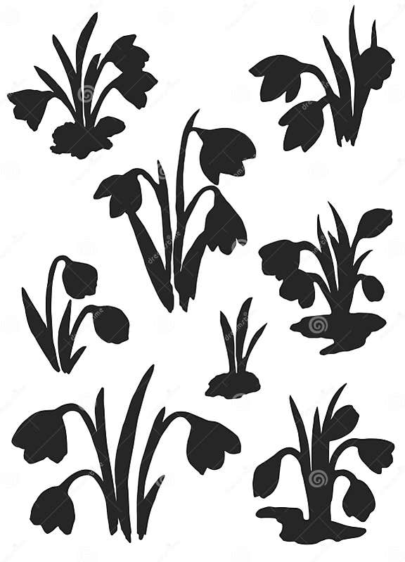 Silhouette Snowdrops Spring Collection, Set Stock Illustration ...