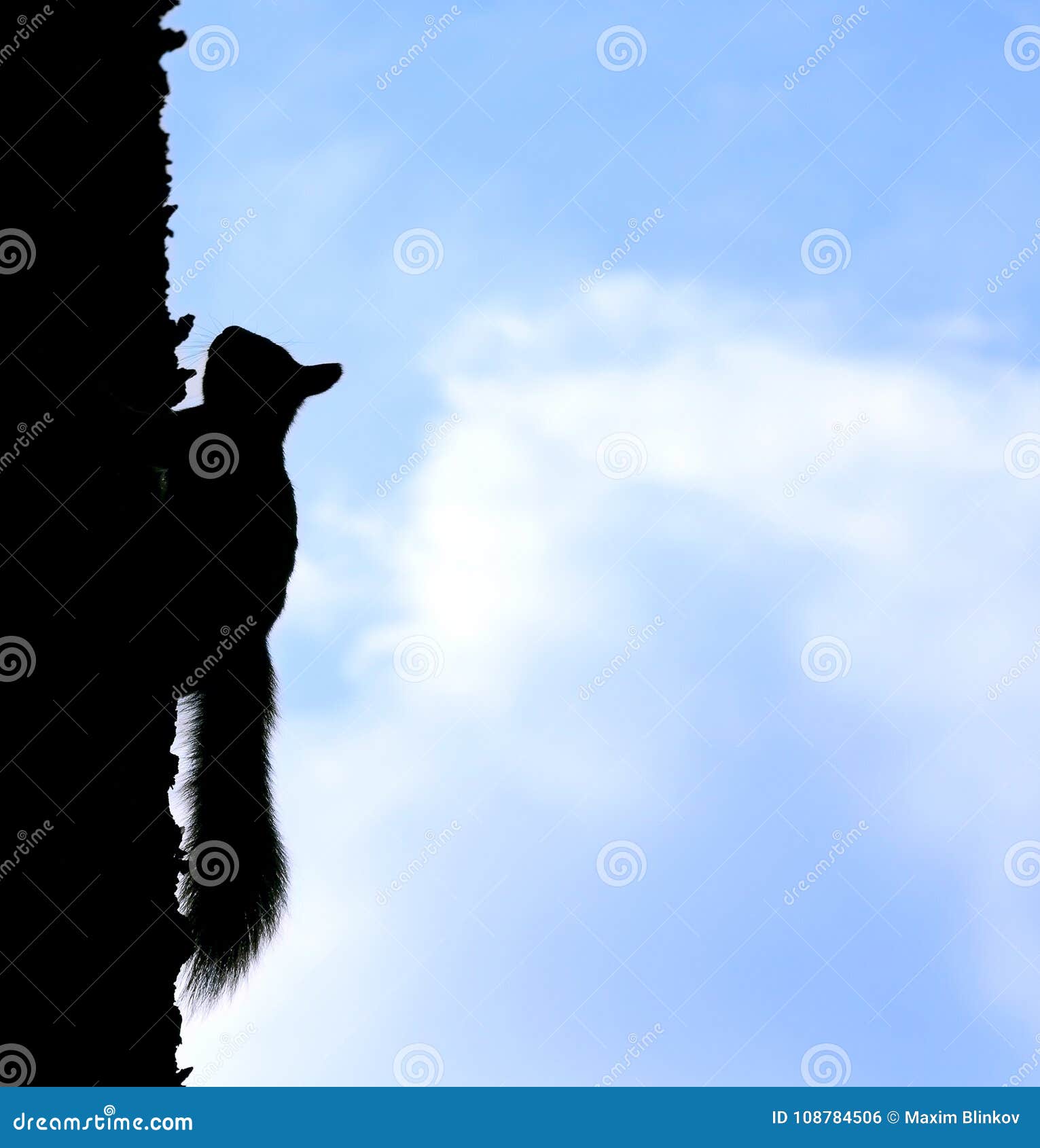 Silhouette Squirrel, Blue Sky Background Royalty-Free Stock Image ...