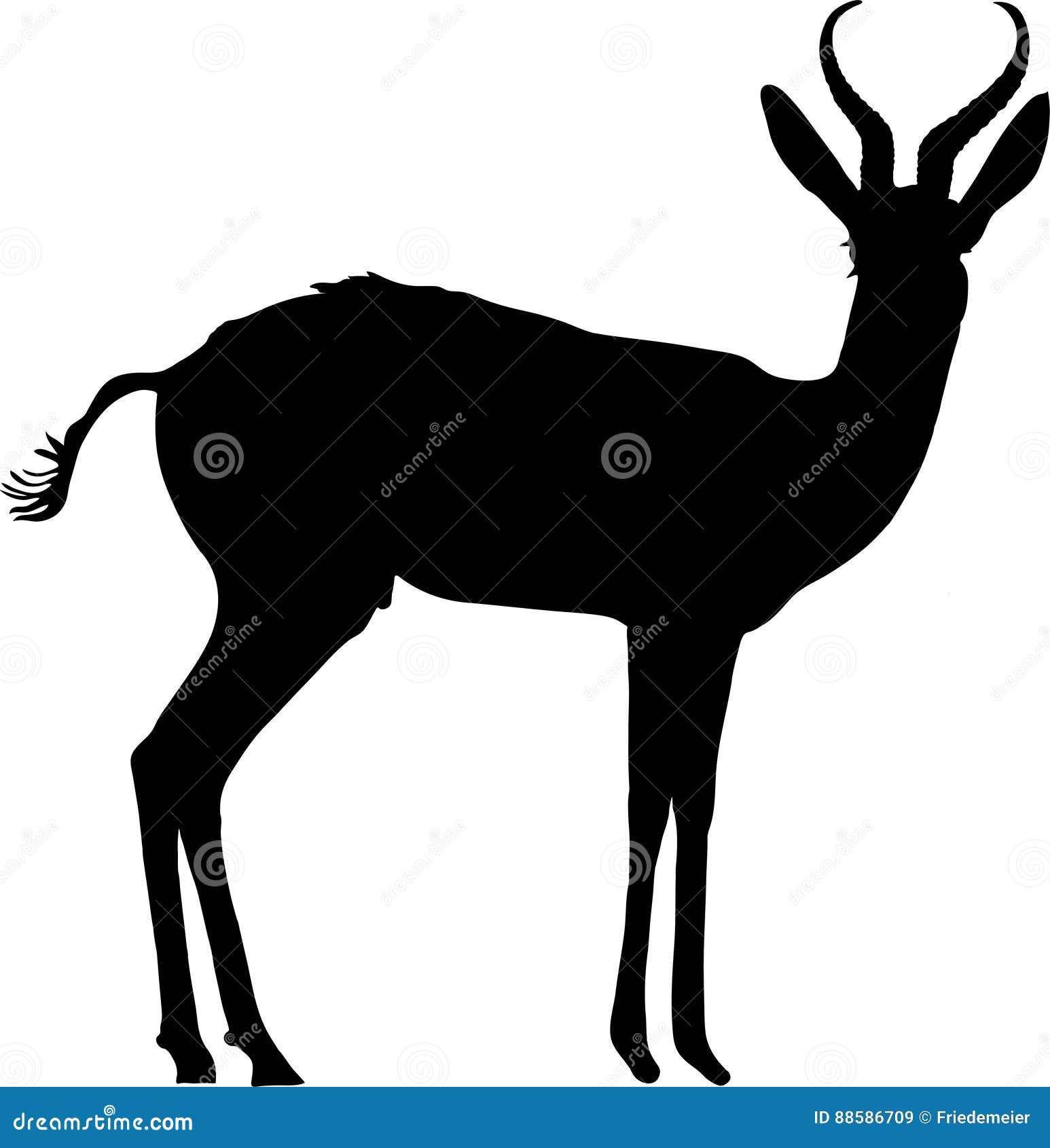 Silhouette of a Standing Springbok Antelope Stock Vector - Illustration ...
