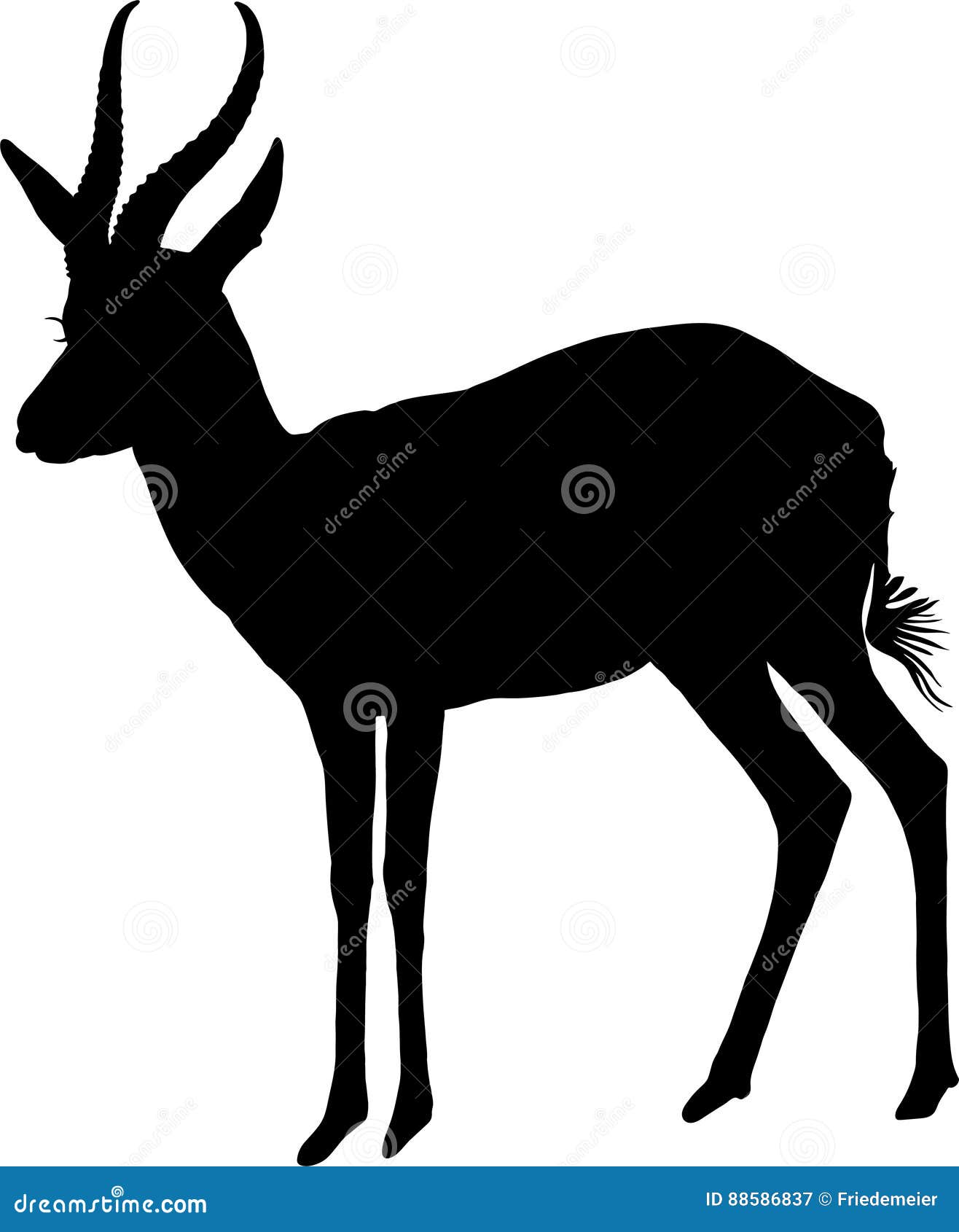 Springboks Cartoons, Illustrations & Vector Stock Images - 31 Pictures ...