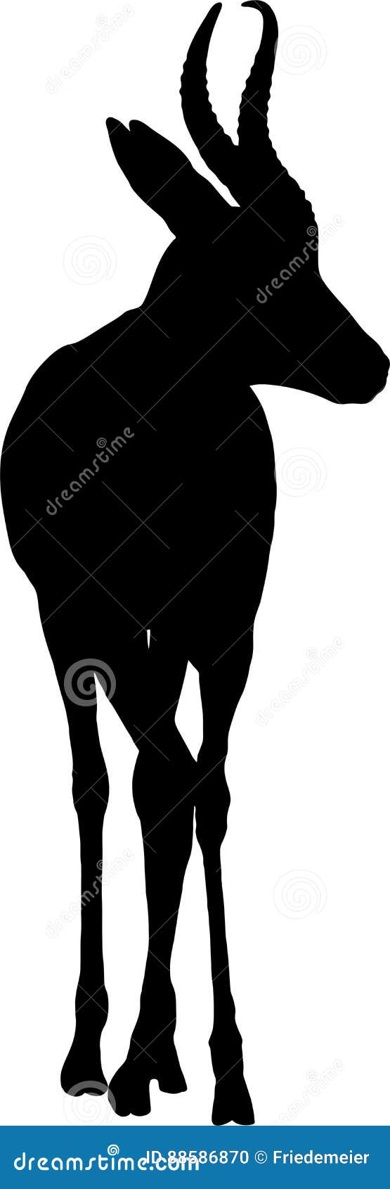 Silhouette of a Standing Springbok Antelope Stock Vector - Illustration ...