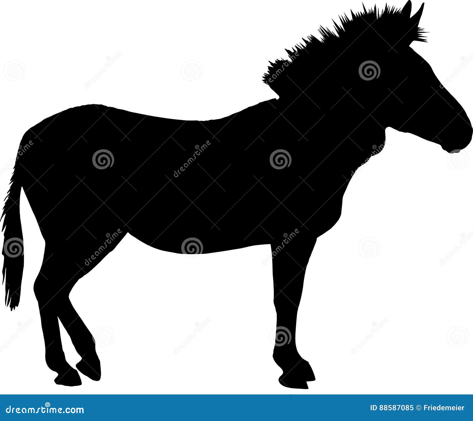 Silhouette Of A Hartmann Mountain Zebra, Standing Cartoon Vector ...