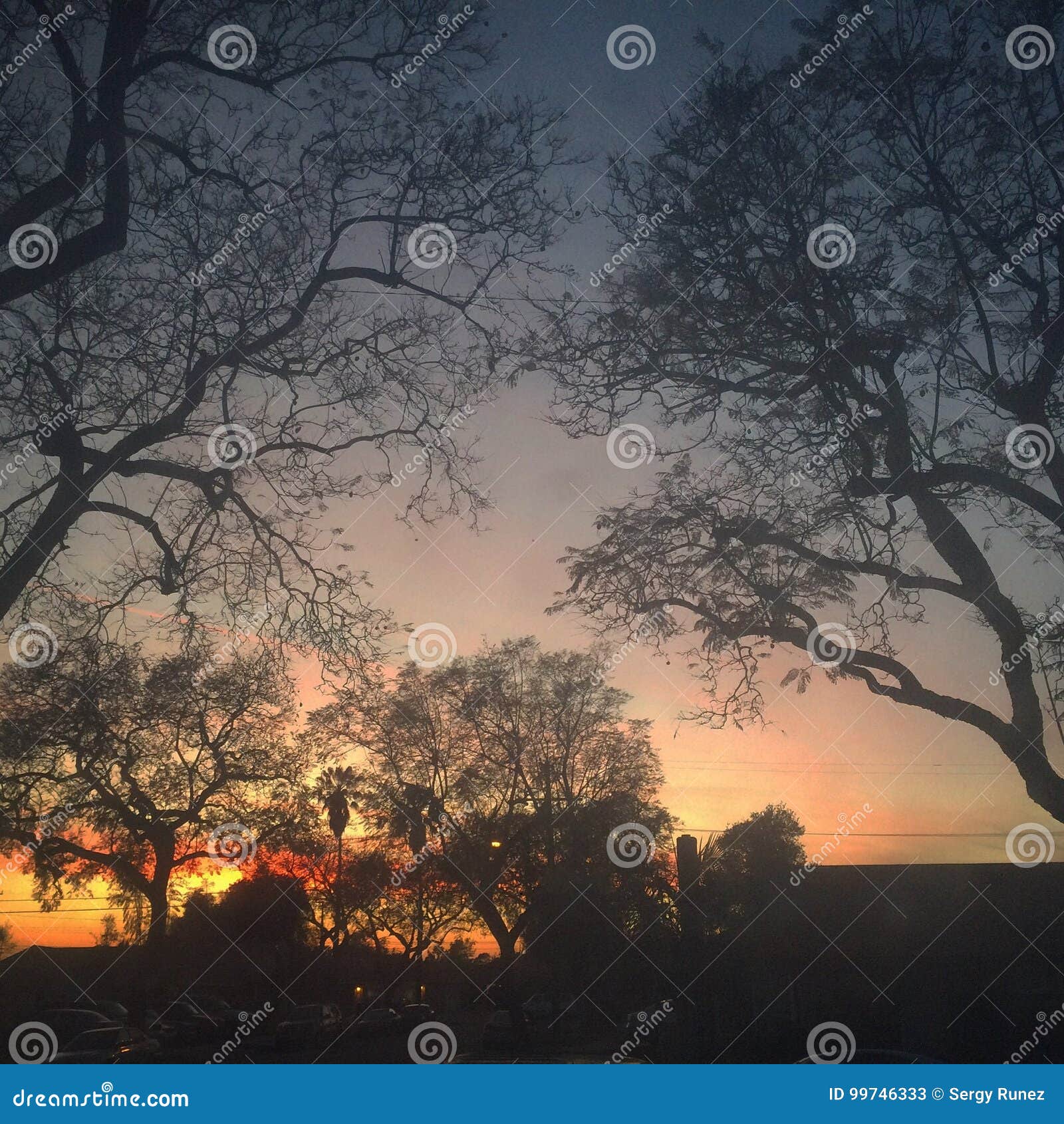 Silhouette stock image. Image of view, sunset, sundown - 99746333