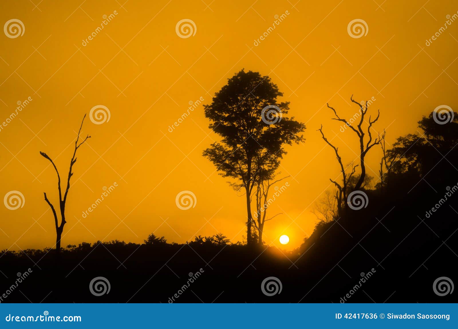 Silhouette Of Man During Sunrise With Morning Sky Background. Pre ...