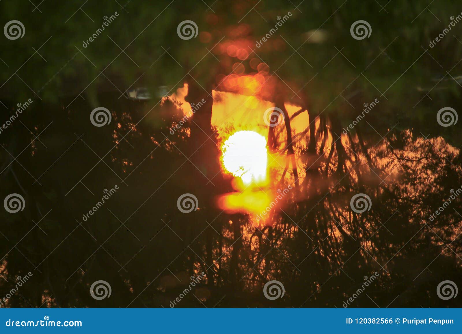 Shadows of the Sunset on the Water. Stock Photo - Image of beauty ...