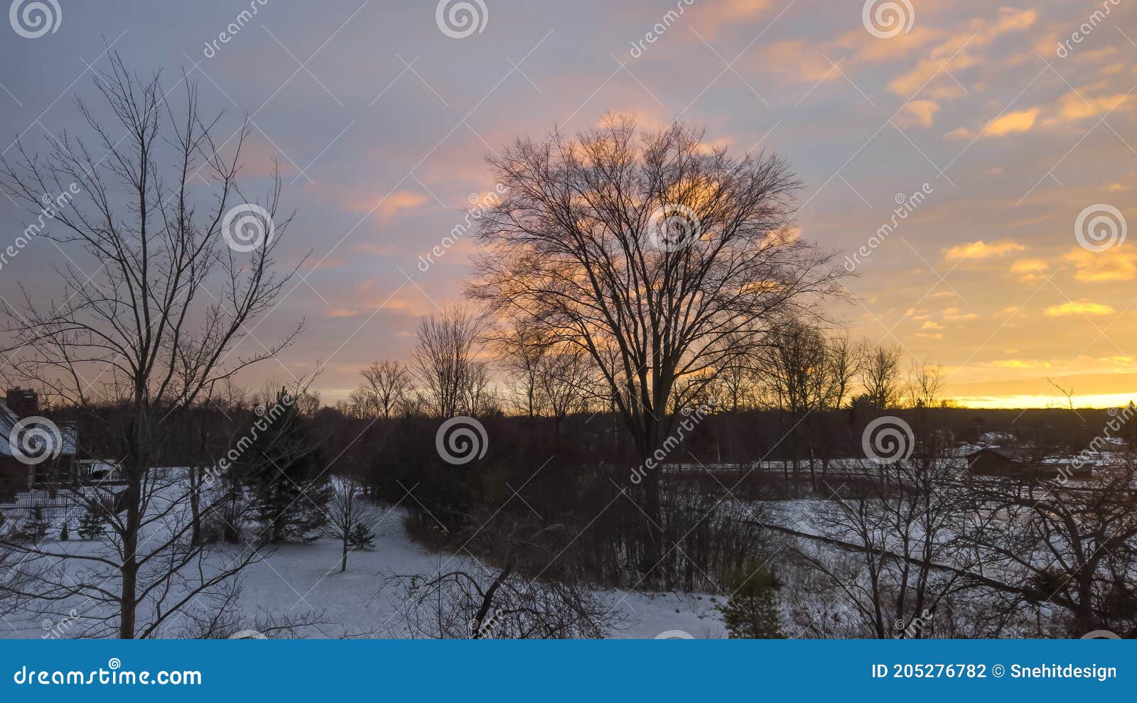 Silhouette of Tall Trees with Colorful Sky Background Stock Photo ...