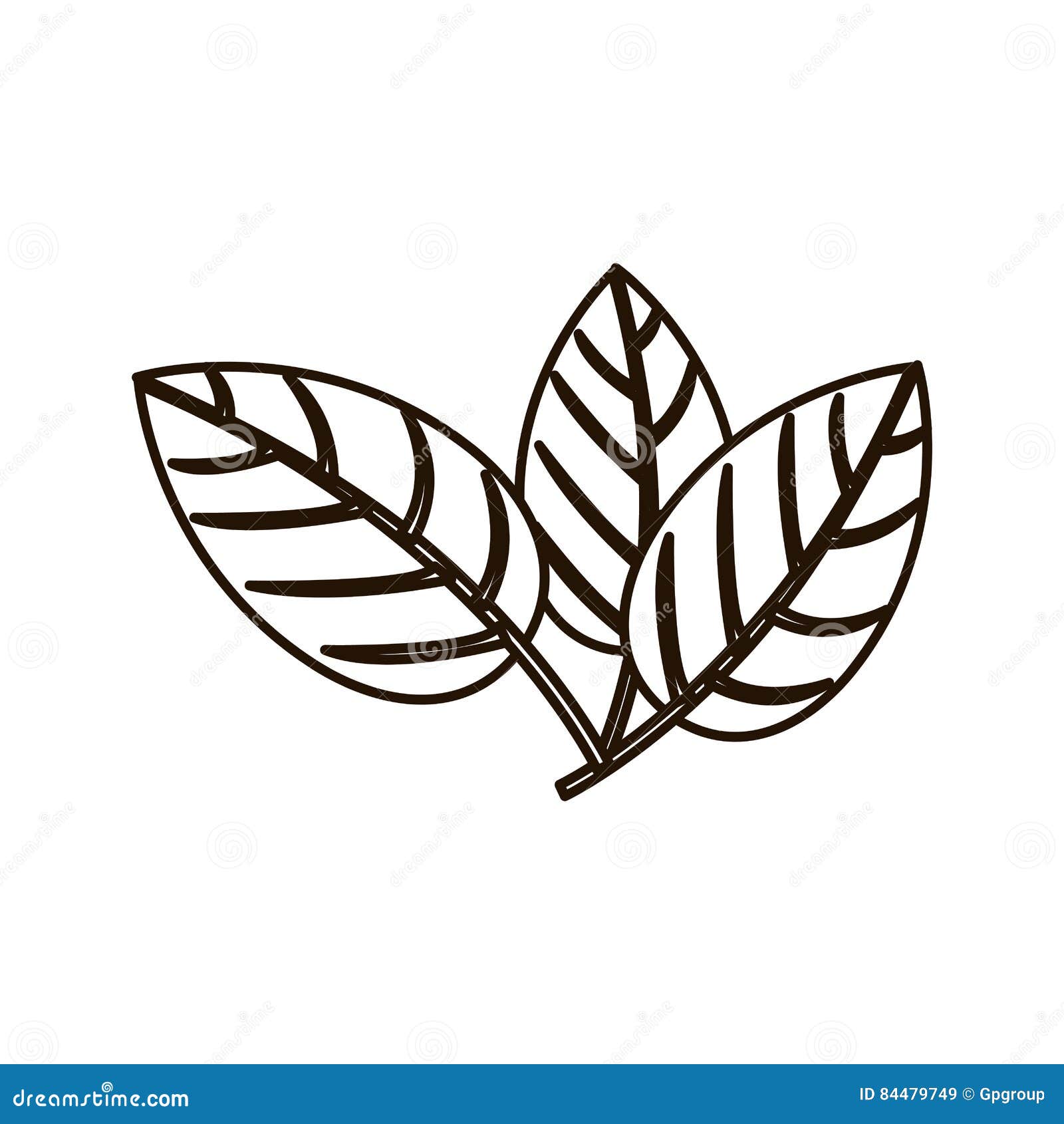 Silhouette Three Leaves With Ramifications Cartoon Vector ...