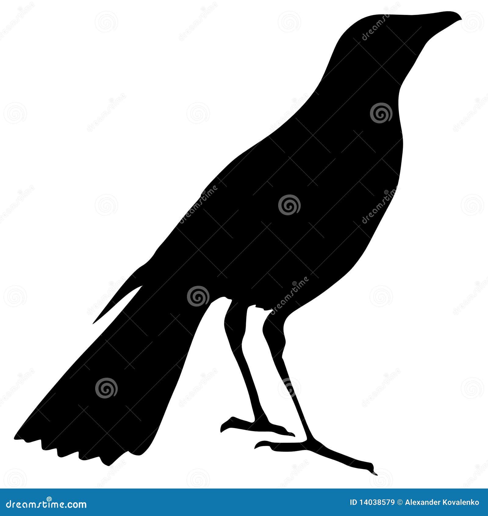 Silhouette of thrush stock vector. Illustration of silhouette - 14038579