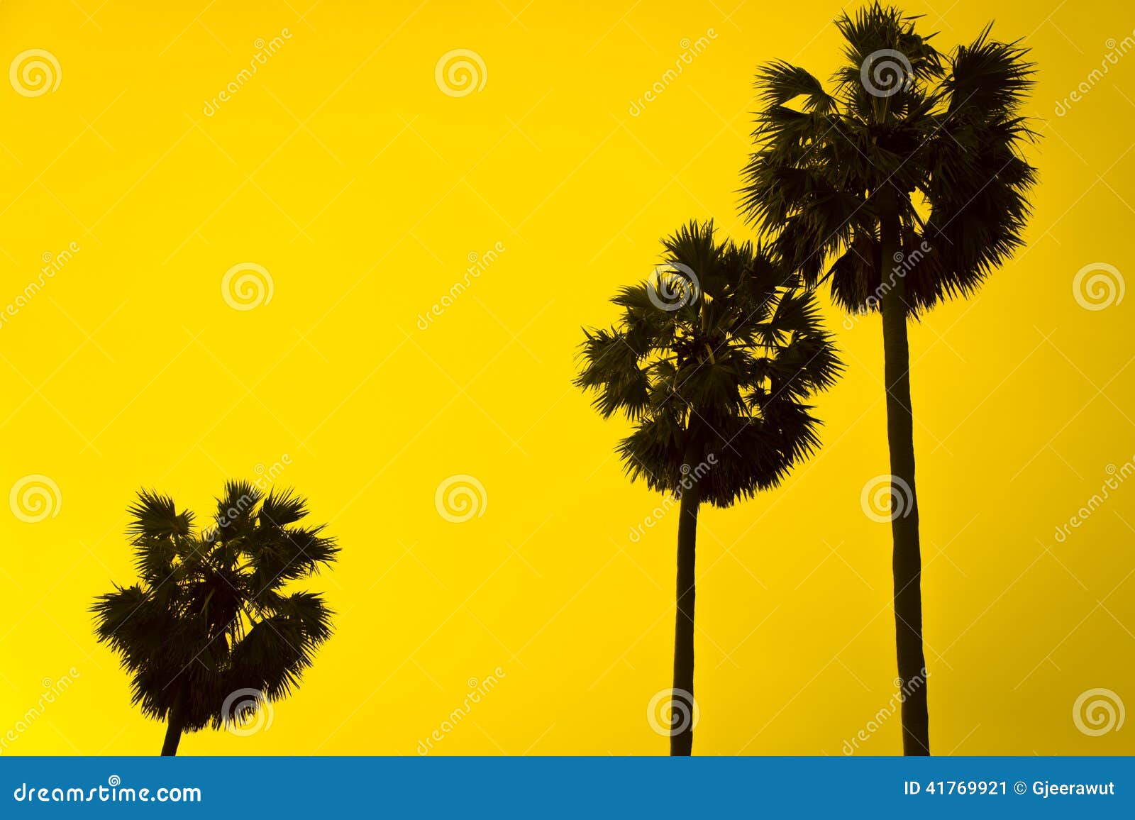 Silhouette Toddy Palm Tree1 Stock Image - Image of outdoor, plant: 41769921