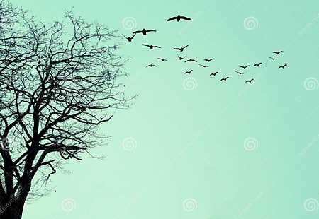 The Silhouette of the Tree on a Blue Background. Stock Illustration ...