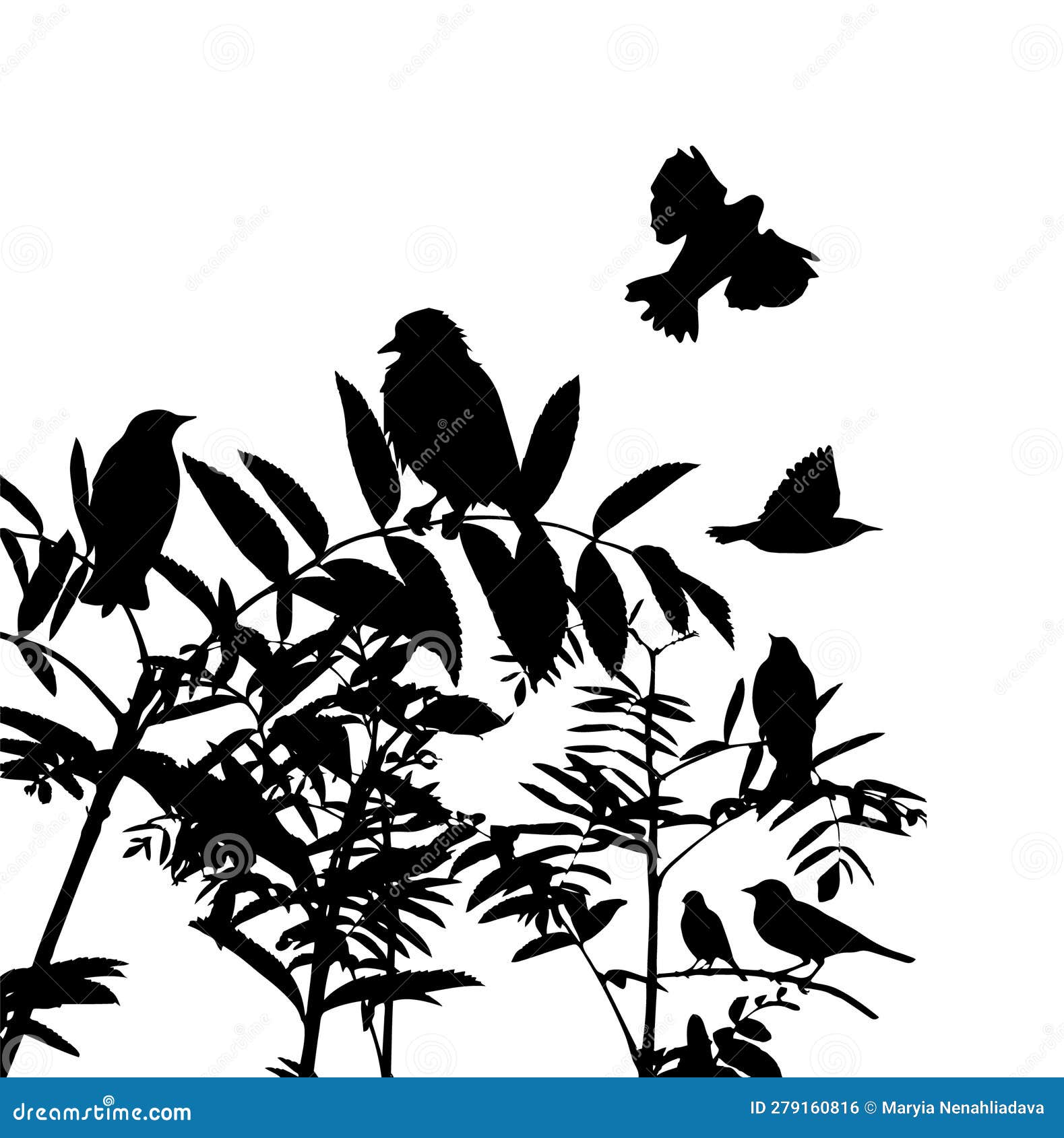 Silhouette of Tree Branches and Birds. Vector Illustration, Realistic ...