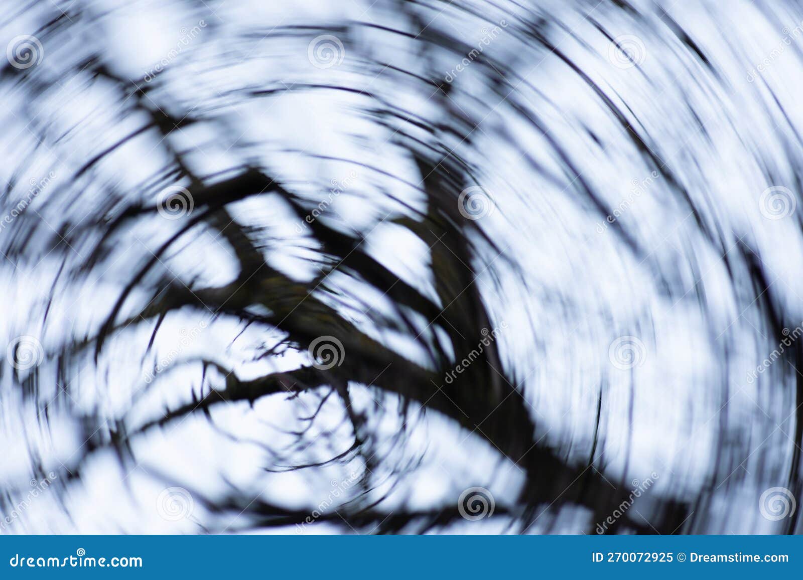 Blur Abstract Bare Tree Branches on a Pale White Background.Black ...