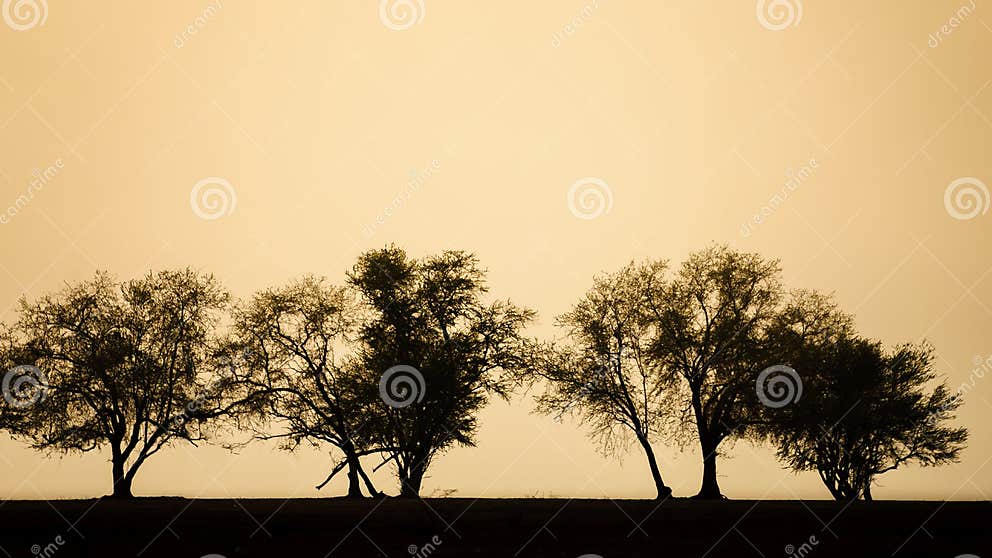 Silhouette of Tree, Bush with Bare Branches. Winter Scenery Tree Stock ...