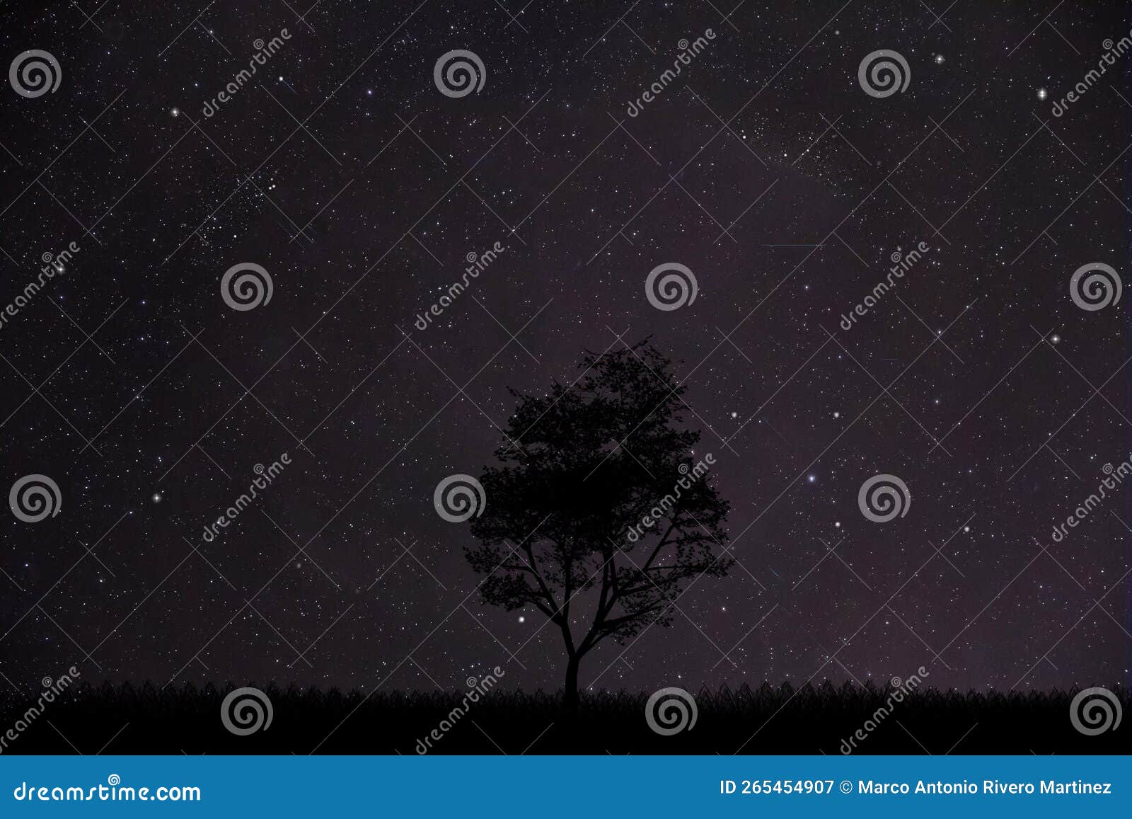 Silhouette of a Tree in the Distance Stock Image - Image of black ...
