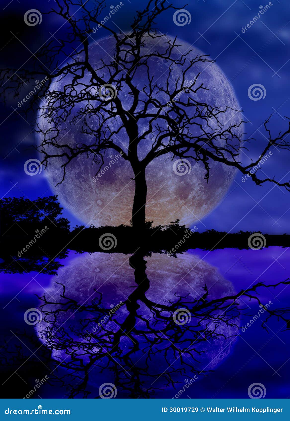 Moon and tree stock illustration. Illustration of reflection - 30019729