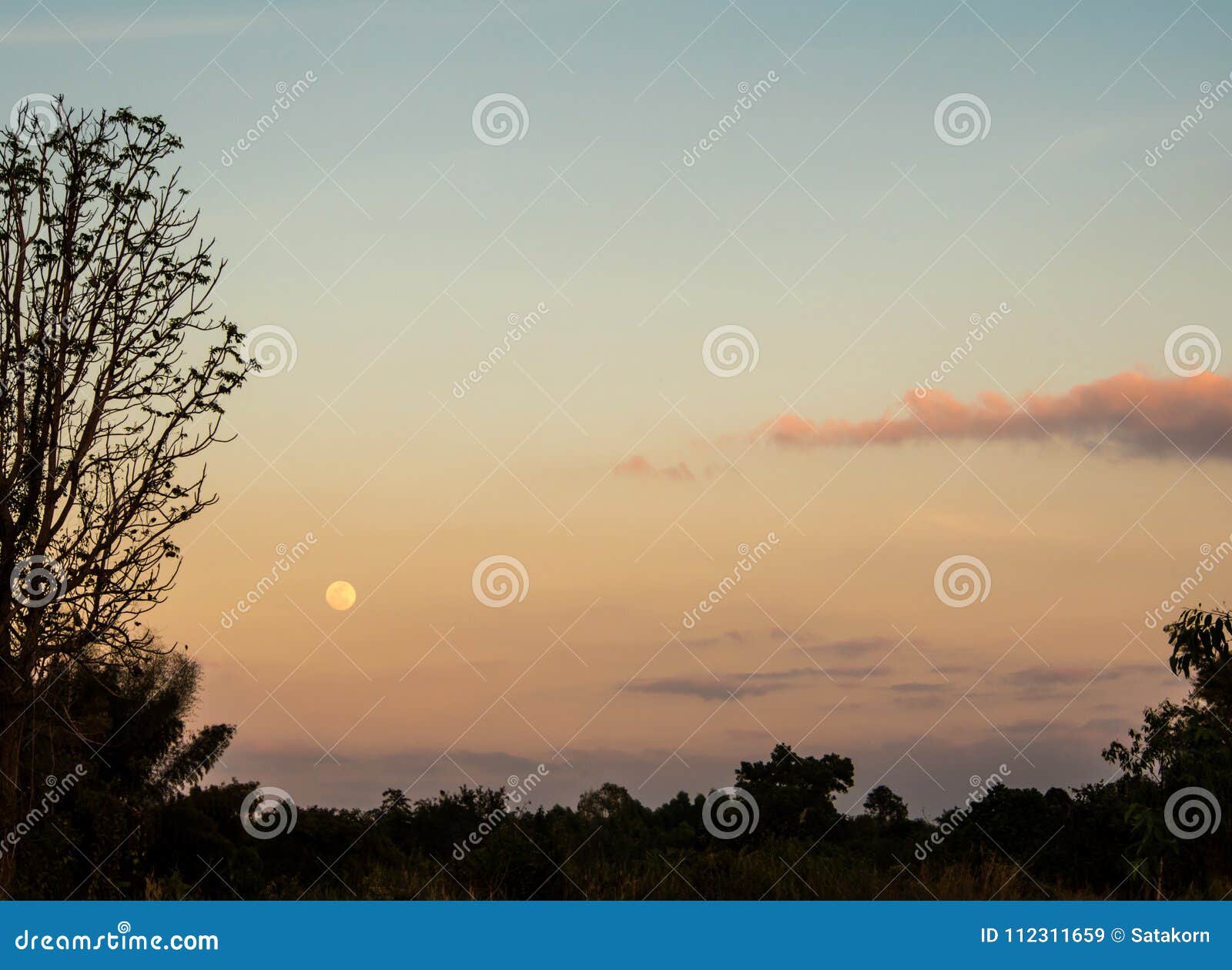 Silhouette Tree and the Full Moon in the Evening Sky Stock Image ...