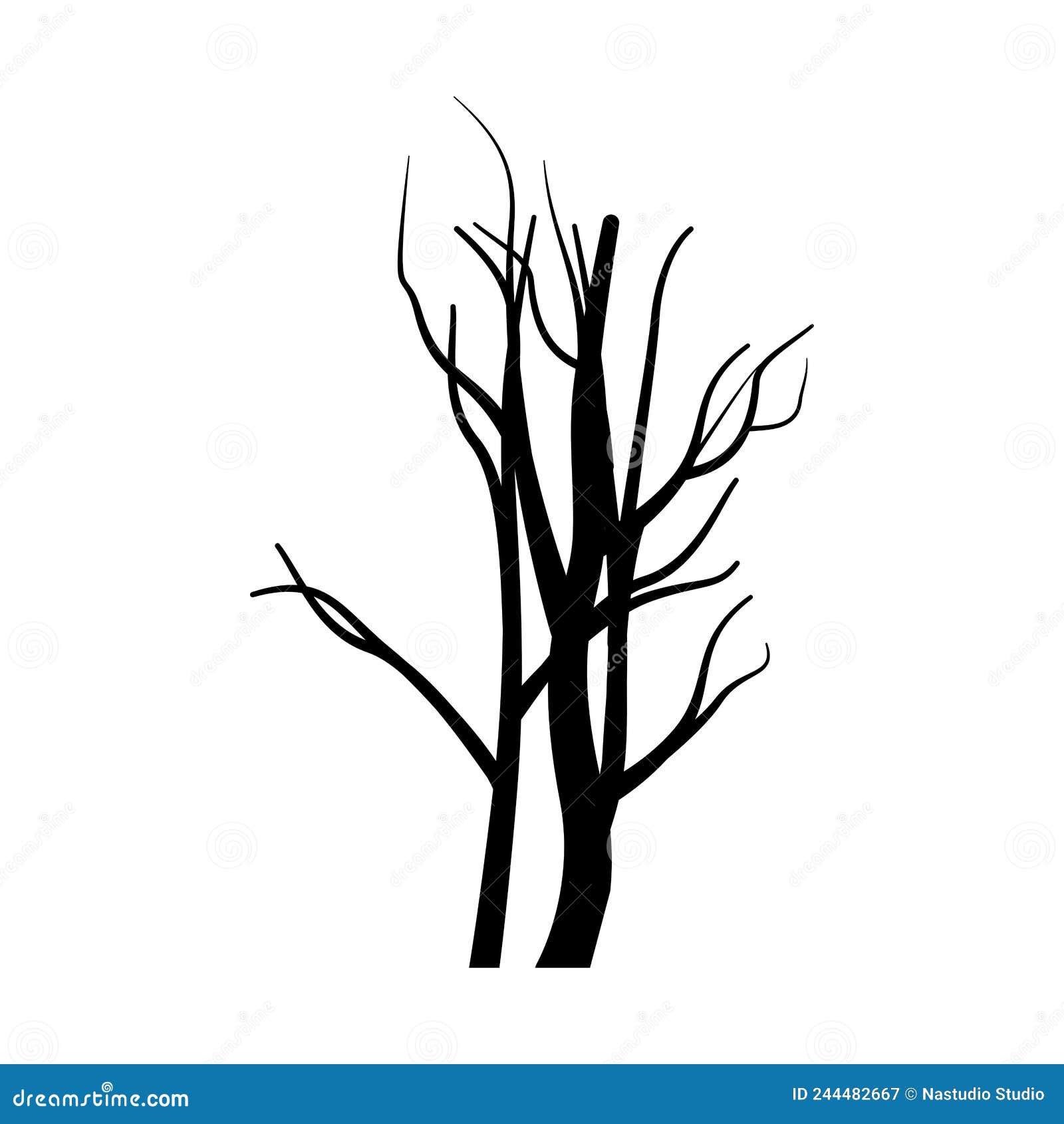 The Silhouette of the Tree Has No Leaves. Isolated on a White ...