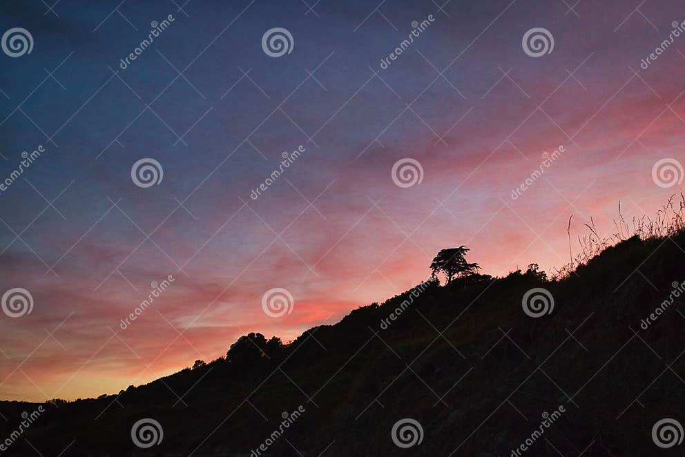 Silhouette of a Tree in the Hill at Sunset Stock Photo - Image of view ...