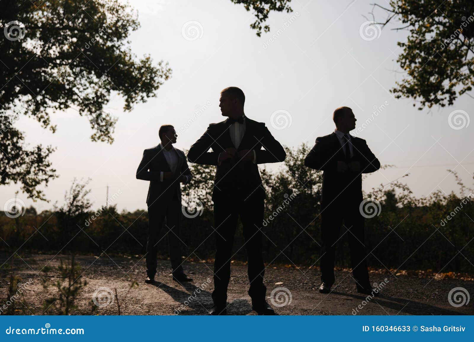 Silhouette of Tree Man in Suit Outside Stock Image - Image of closeup ...