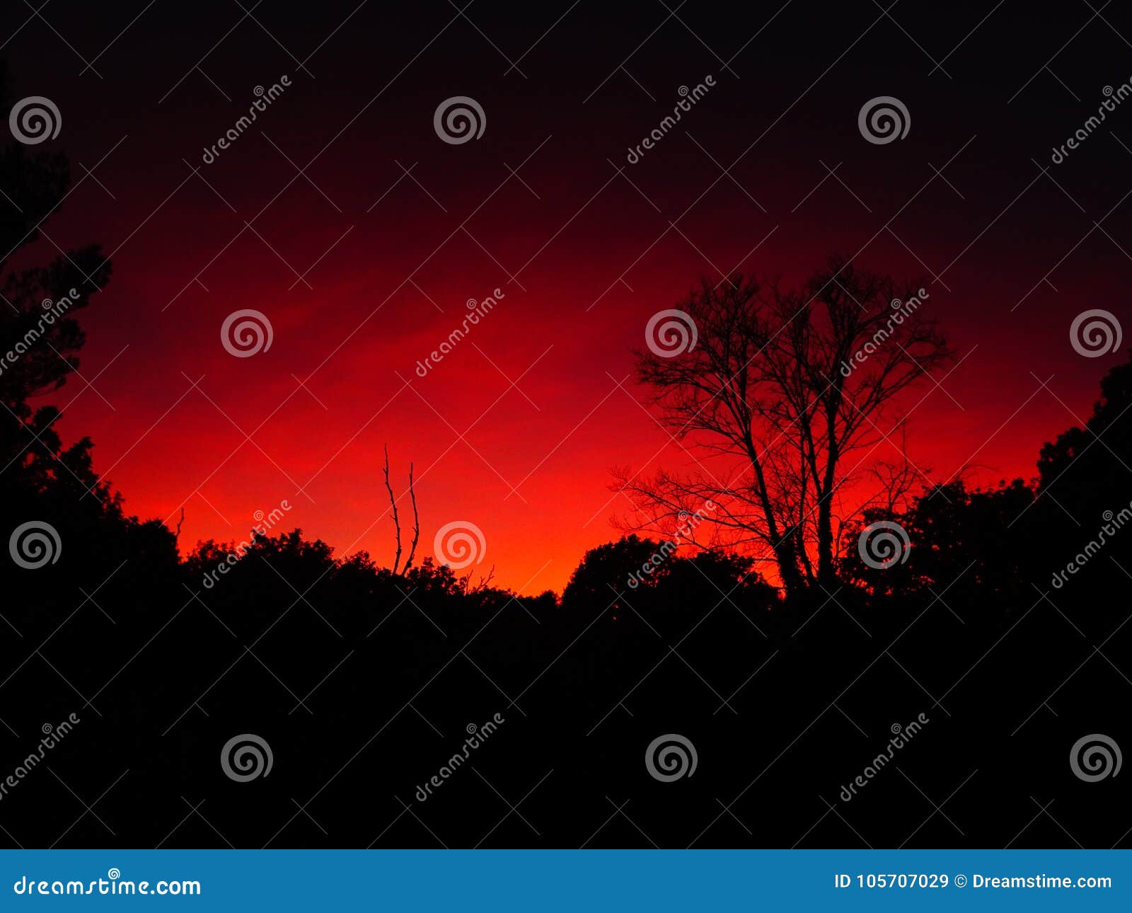 2,426 No Shades Stock Photos - Free & Royalty-Free Stock Photos from ...