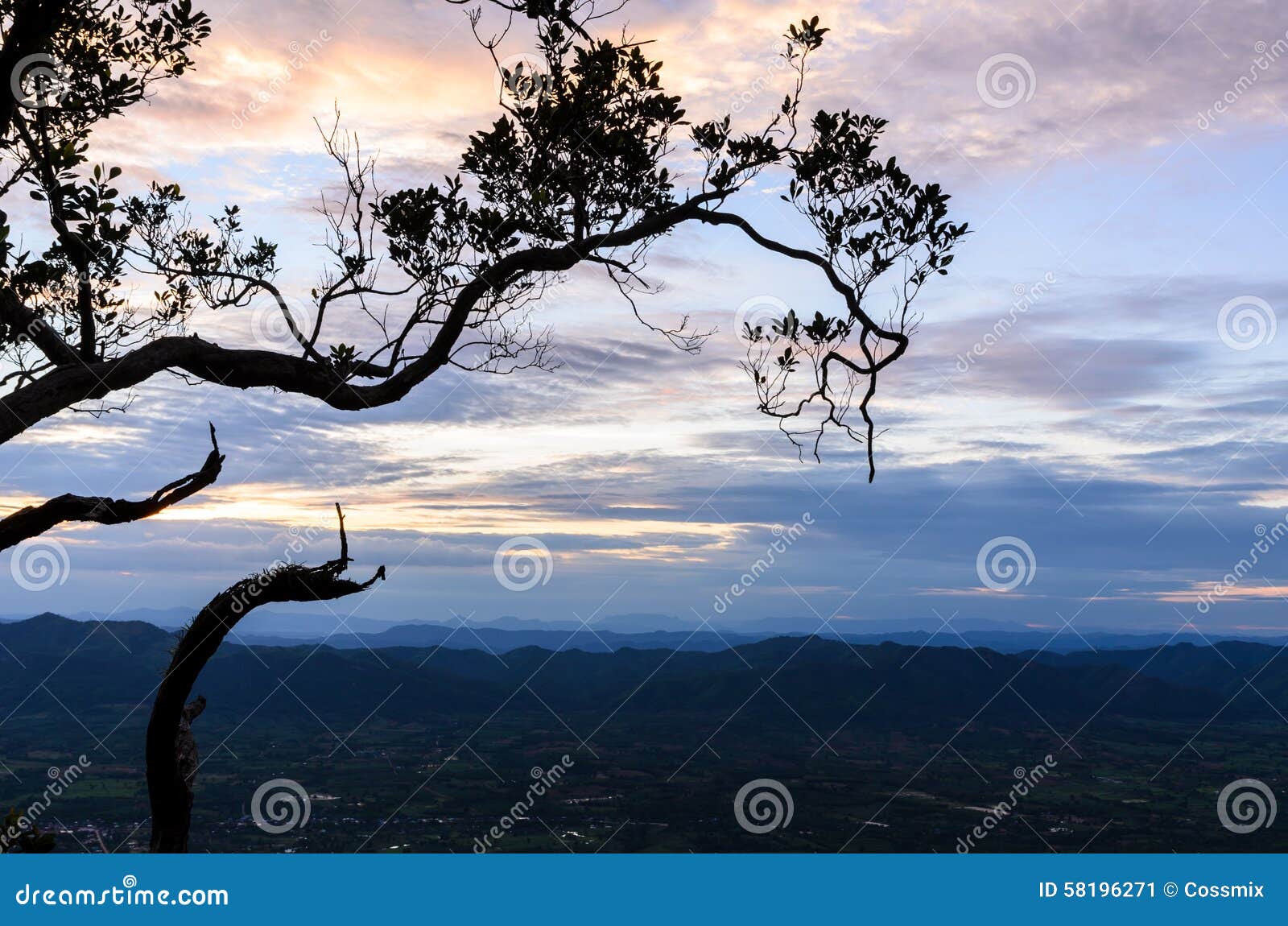 Silhouette of Tree at Twilight Stock Image - Image of idea, people ...