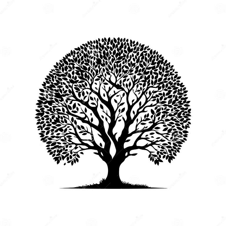 A Silhouette Tree Vector File (Editable). Stock Vector - Illustration of cricut, editable: 346773899