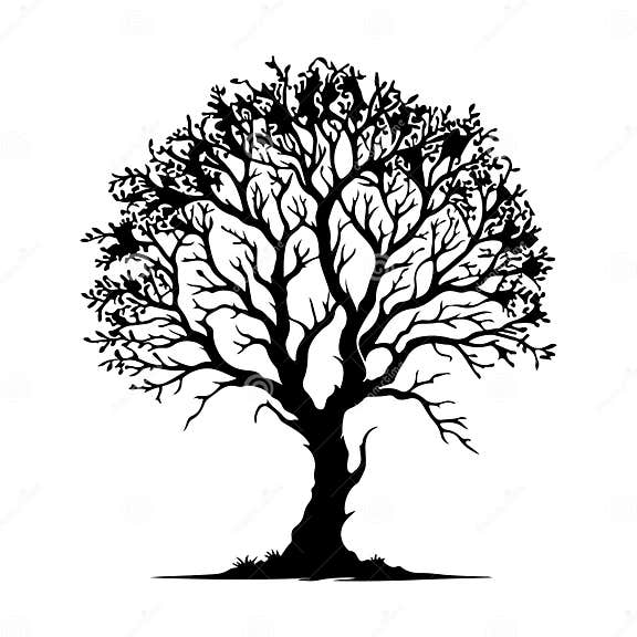 A Silhouette Tree Vector File (Editable). Stock Vector - Illustration of linework, cricut: 346773912