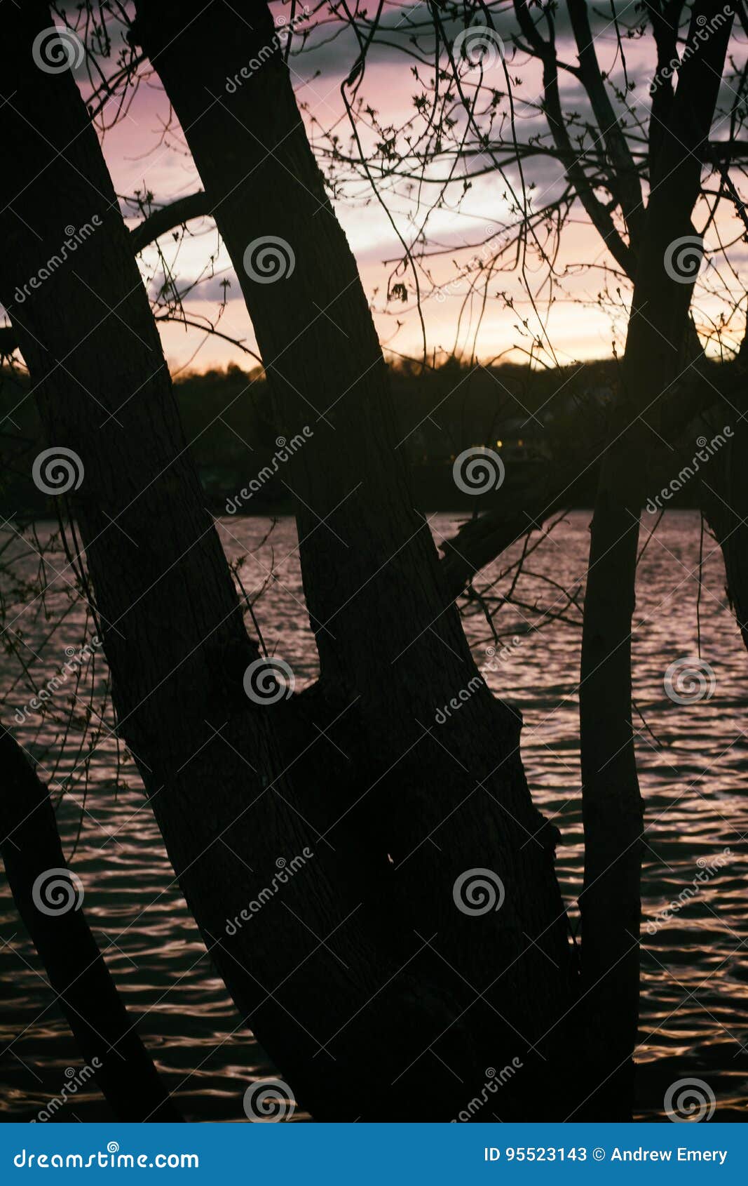 Silhouette Tree by the Water at Sunset. Stock Image - Image of backlit ...