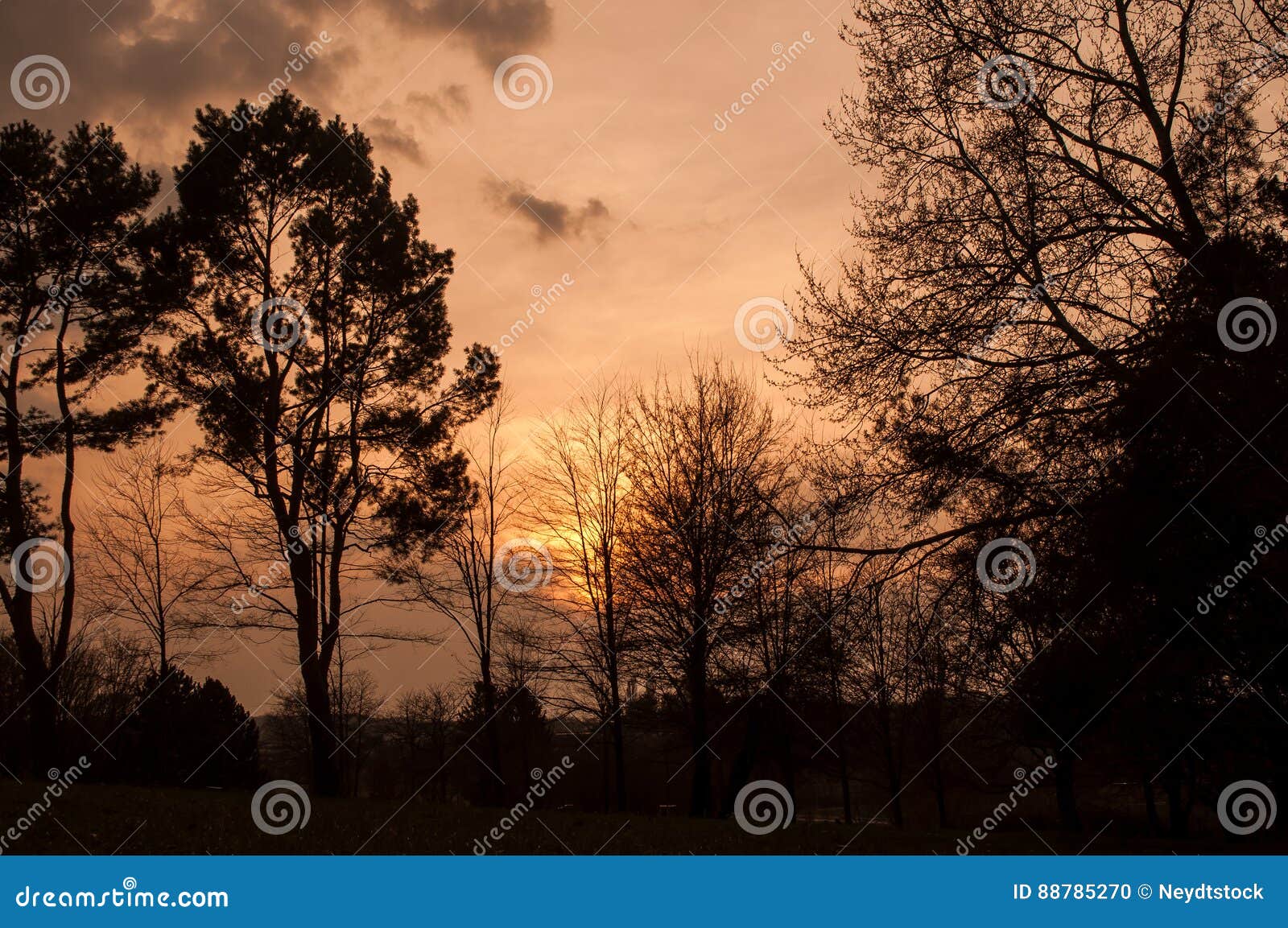 Silhouette Trees Against a Magical Sunset Stock Photo - Image of sunset ...