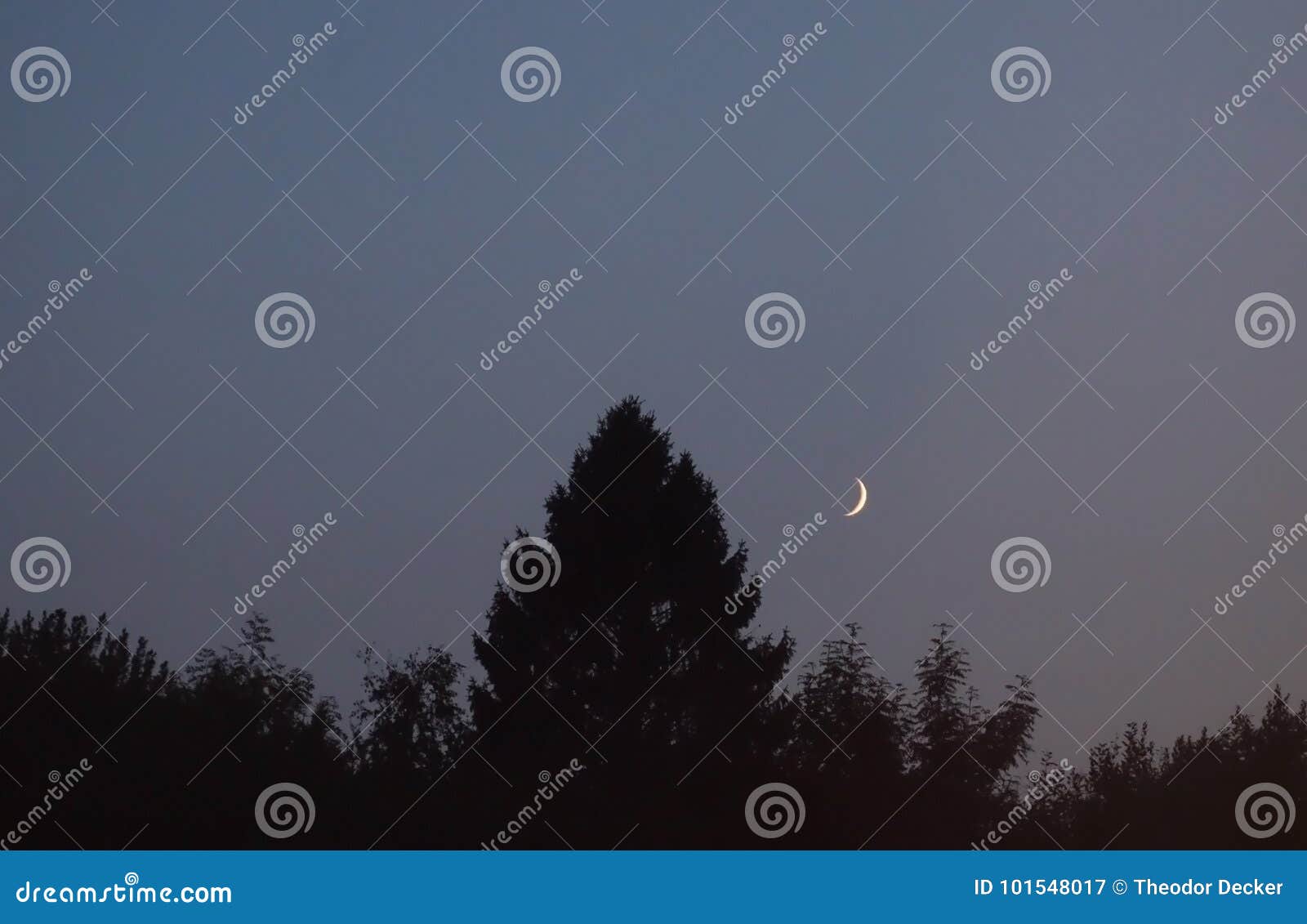 Silhouette of Trees and Moon Stock Image - Image of silhouette, black ...