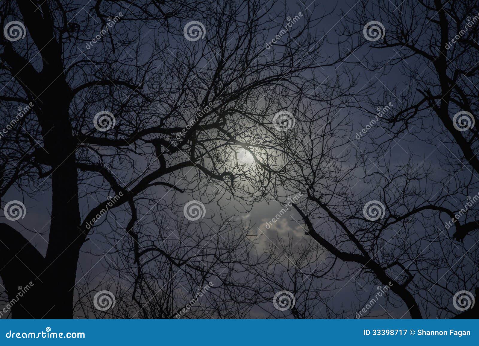 Silhouette of Trees in the Moonlight. Stock Image - Image of people ...