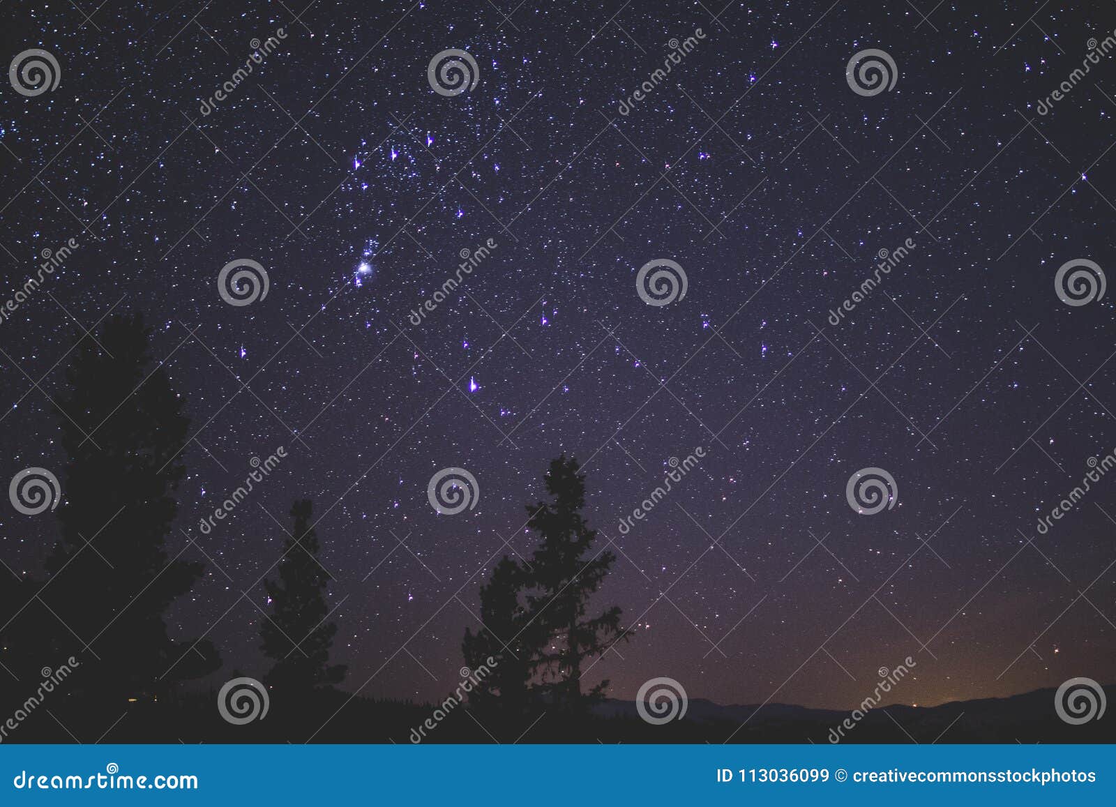 Silhouette Of Trees During Night Time Picture. Image: 113036099