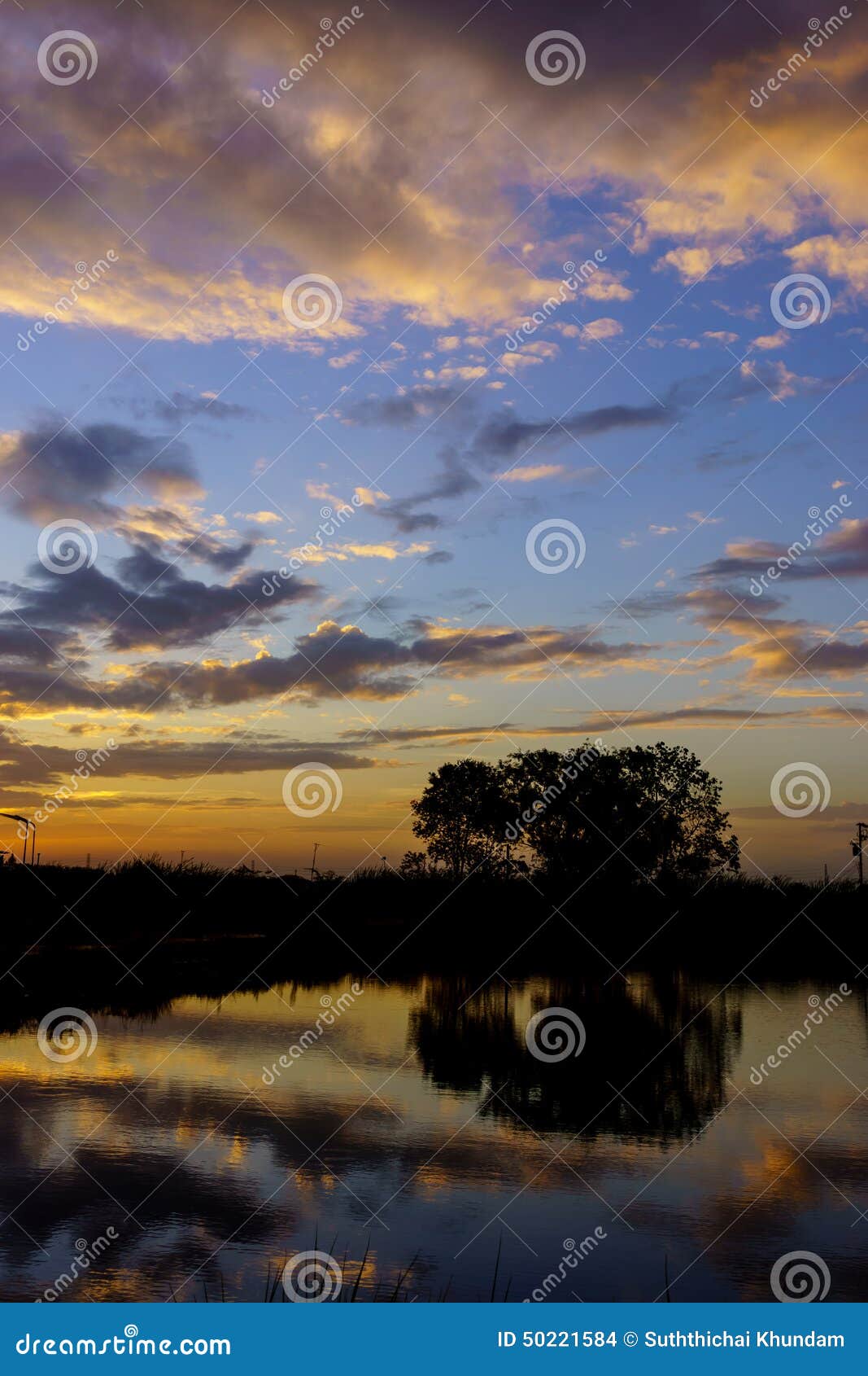 Silhouette Trees with Reflection Stock Photo - Image of dream, evening ...