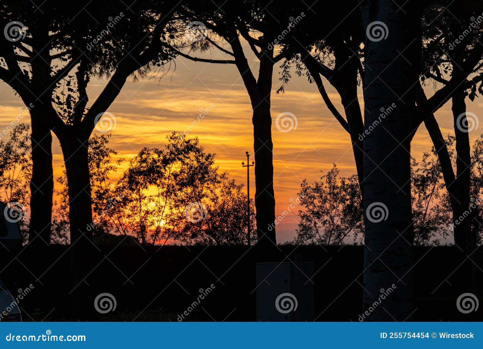 Silhouette of Trees on a Sunset Stock Photo - Image of nature ...