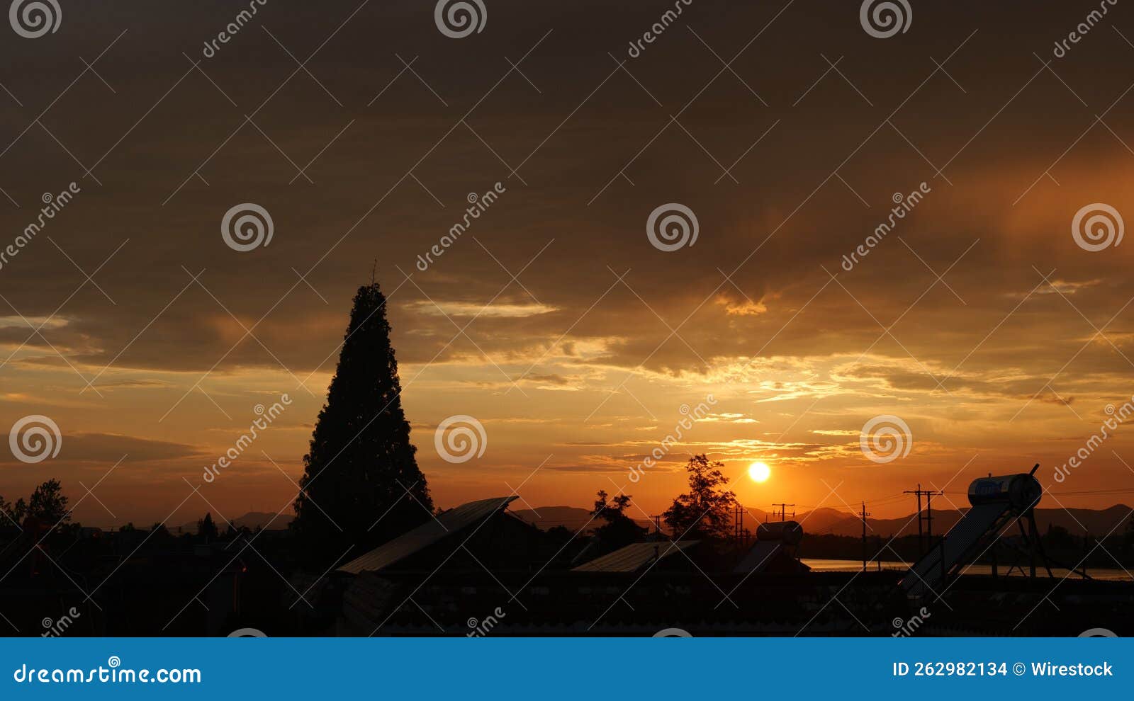 Silhouette of Trees during Sunset Stock Photo - Image of city ...