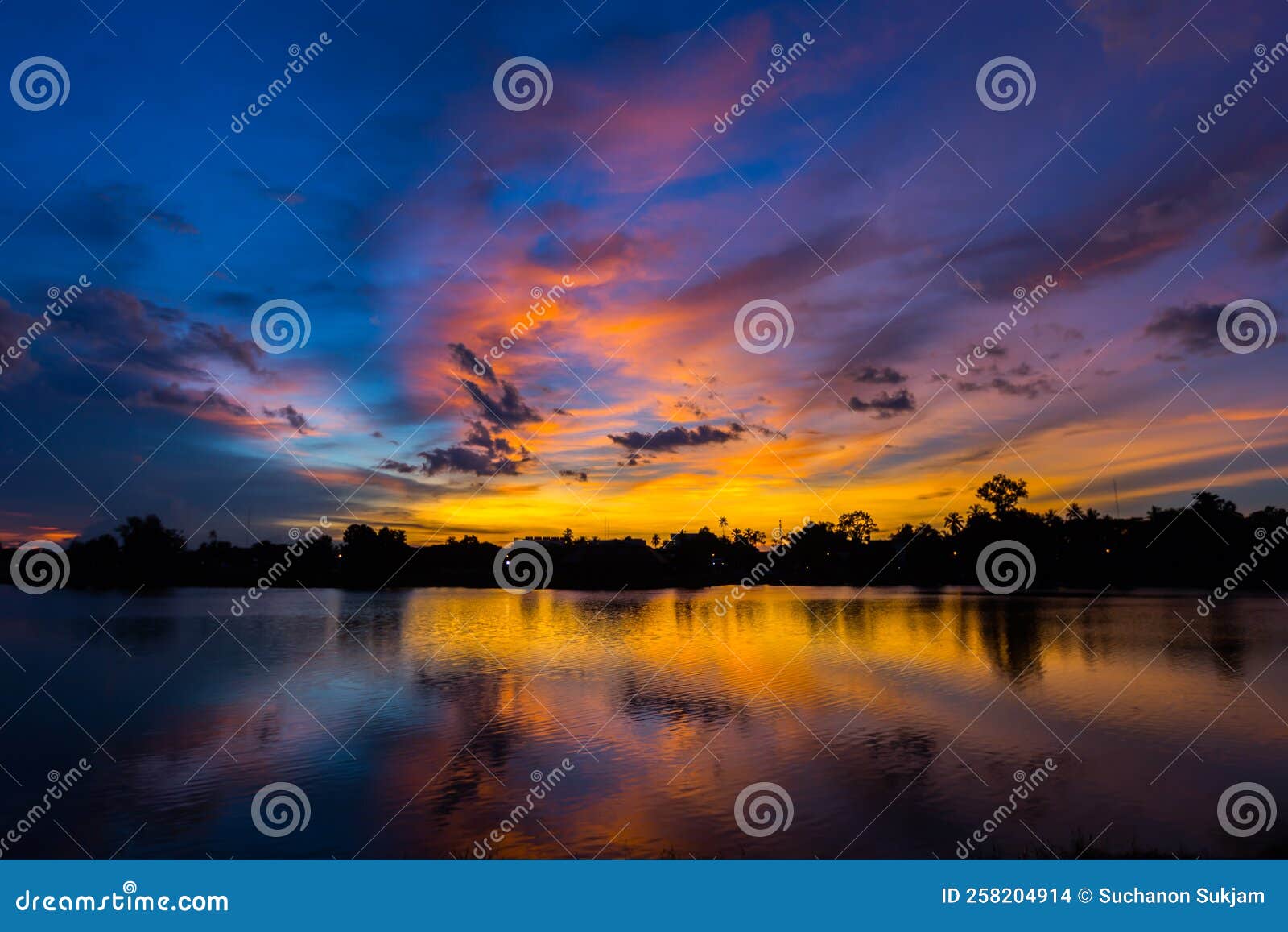 Silhouette Twilight Of Atmosphere Sunset, Natural View Of Trees Royalty ...